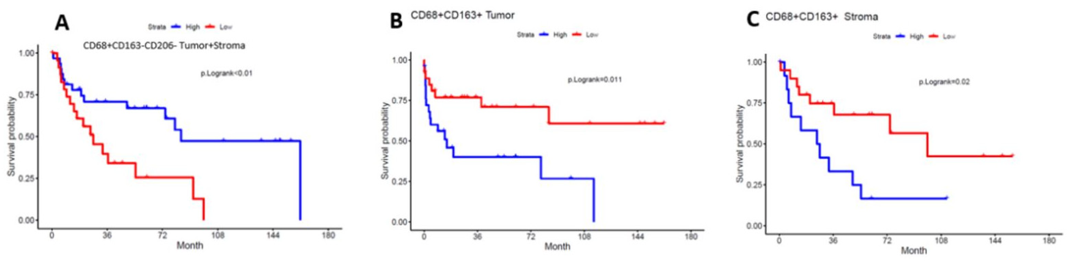 Geospatial and Cell Density Analysis Using Multiplex Immunofluorescence ...