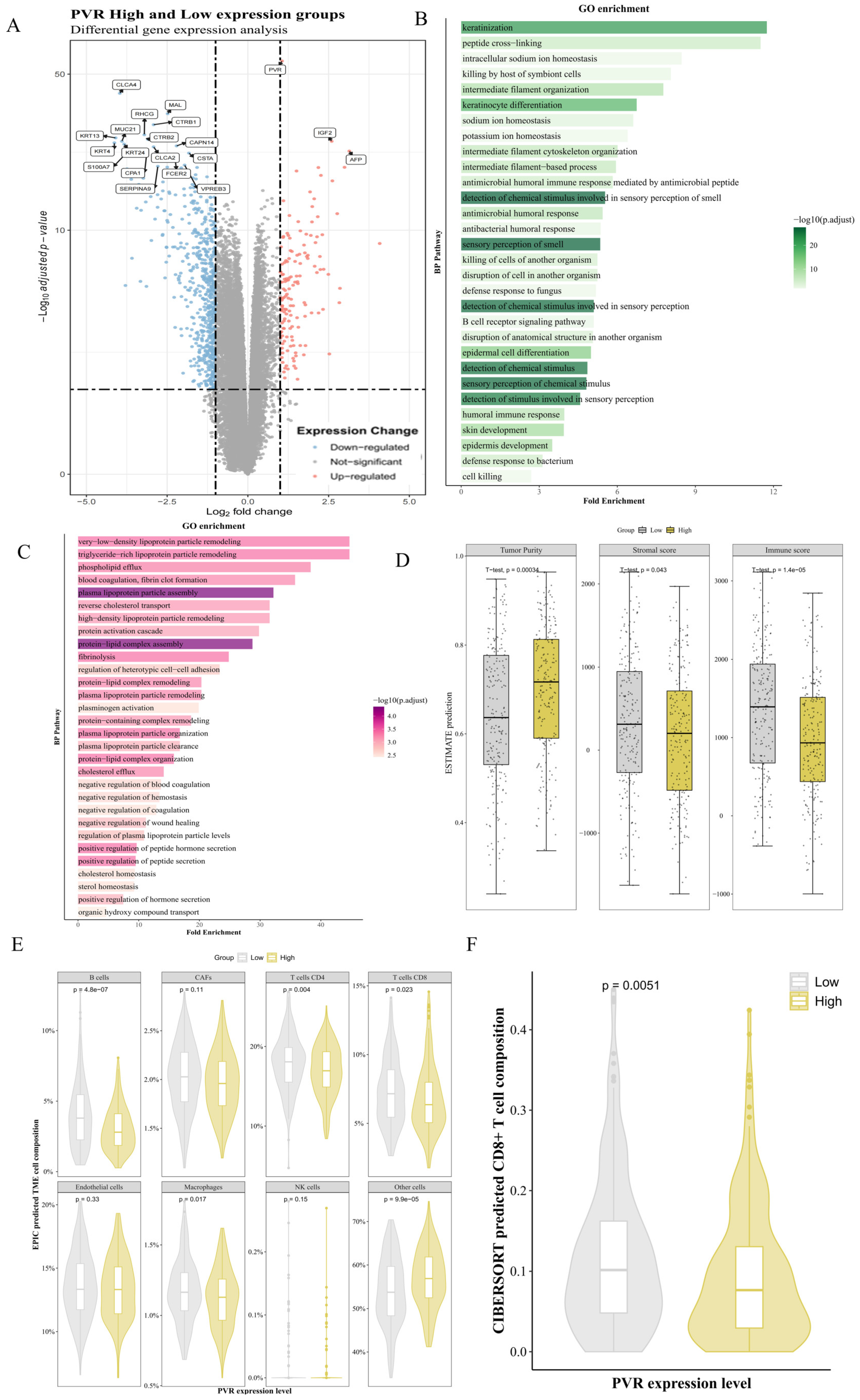 Poliovirus Receptor as a Potential Target in Gastric Signet-Ring Cell ...