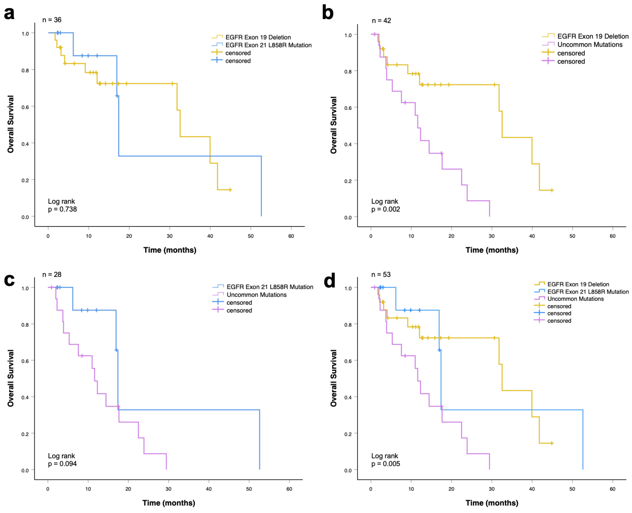 Clinical Impact of EGFR Mutation Subtypes on Treatment Outcomes in ...