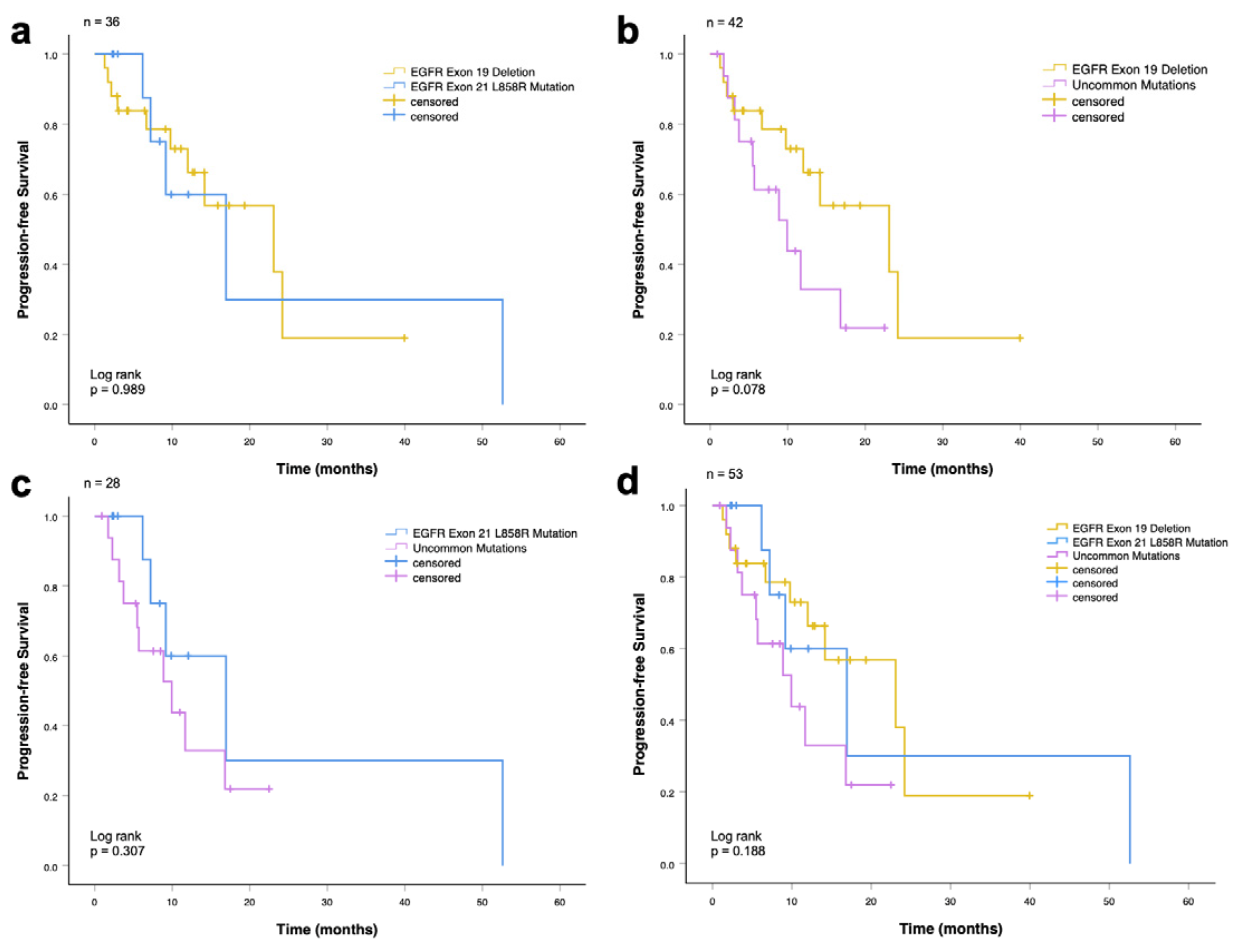 Clinical Impact of EGFR Mutation Subtypes on Treatment Outcomes in ...
