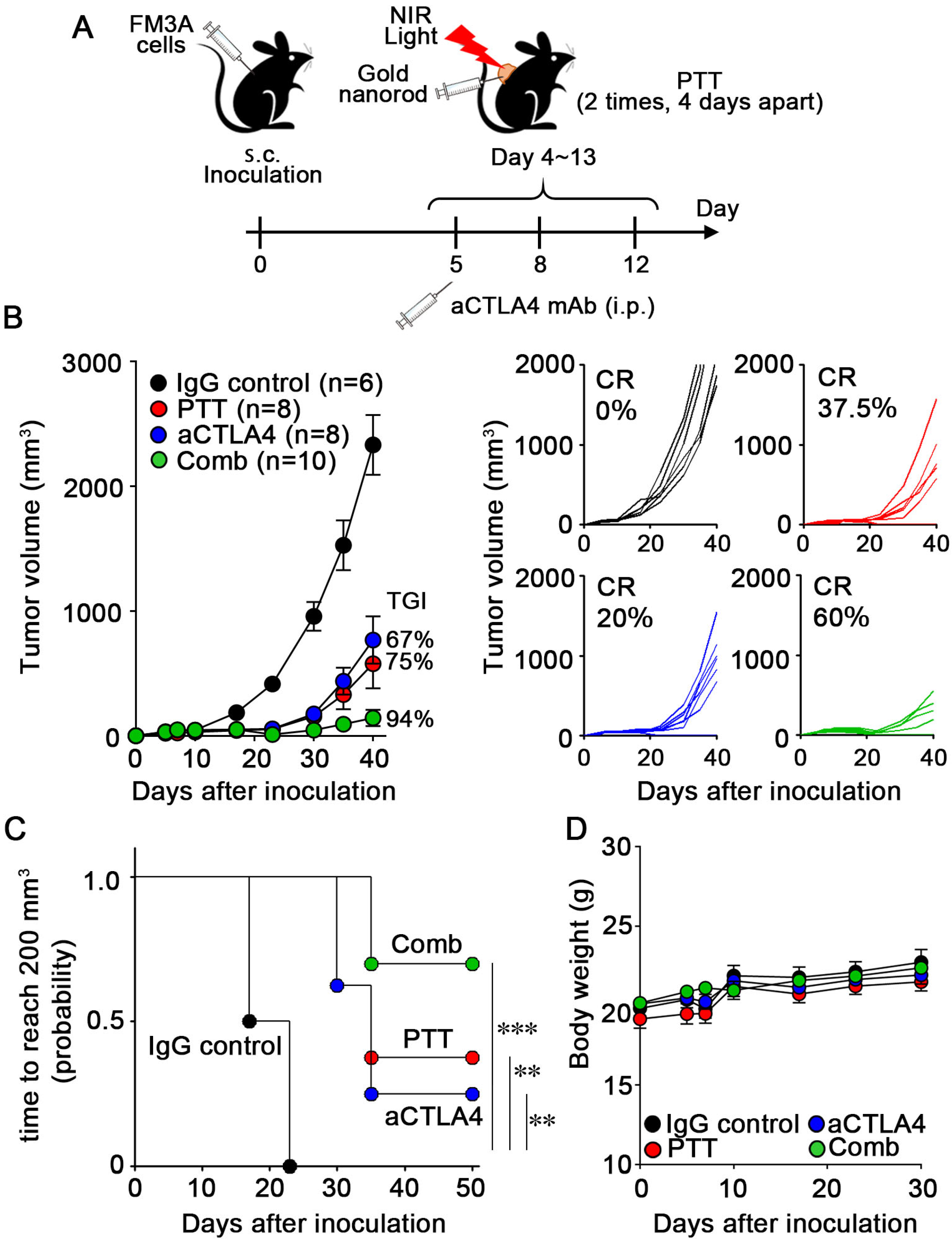 Photothermal Therapy-Induced Immunogenic Cell Death Synergistically ...