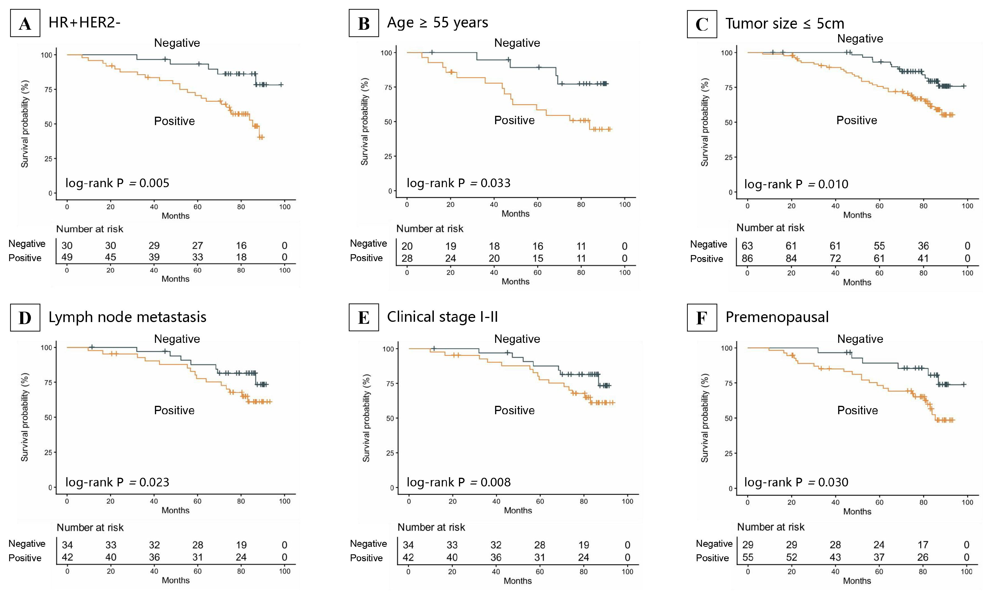 Prognostic Value of Phosphatidylinositol-3 Kinase p110 α Protein ...