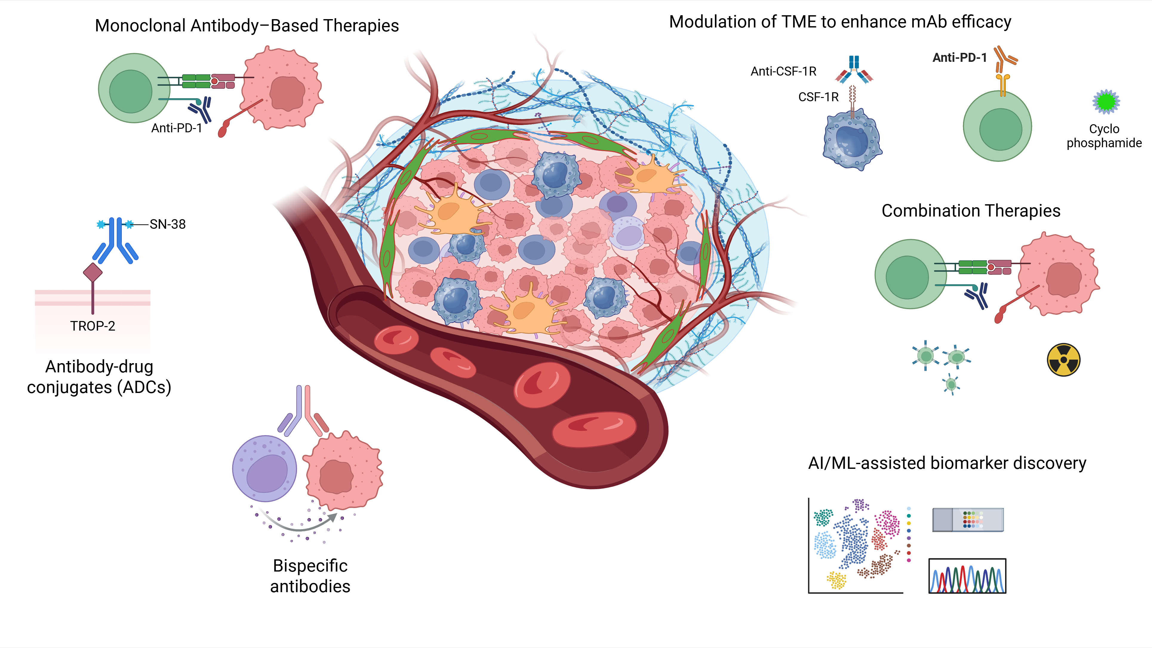 Targeting the Tumor Microenvironment in Triple-Negative Breast Cancer ...