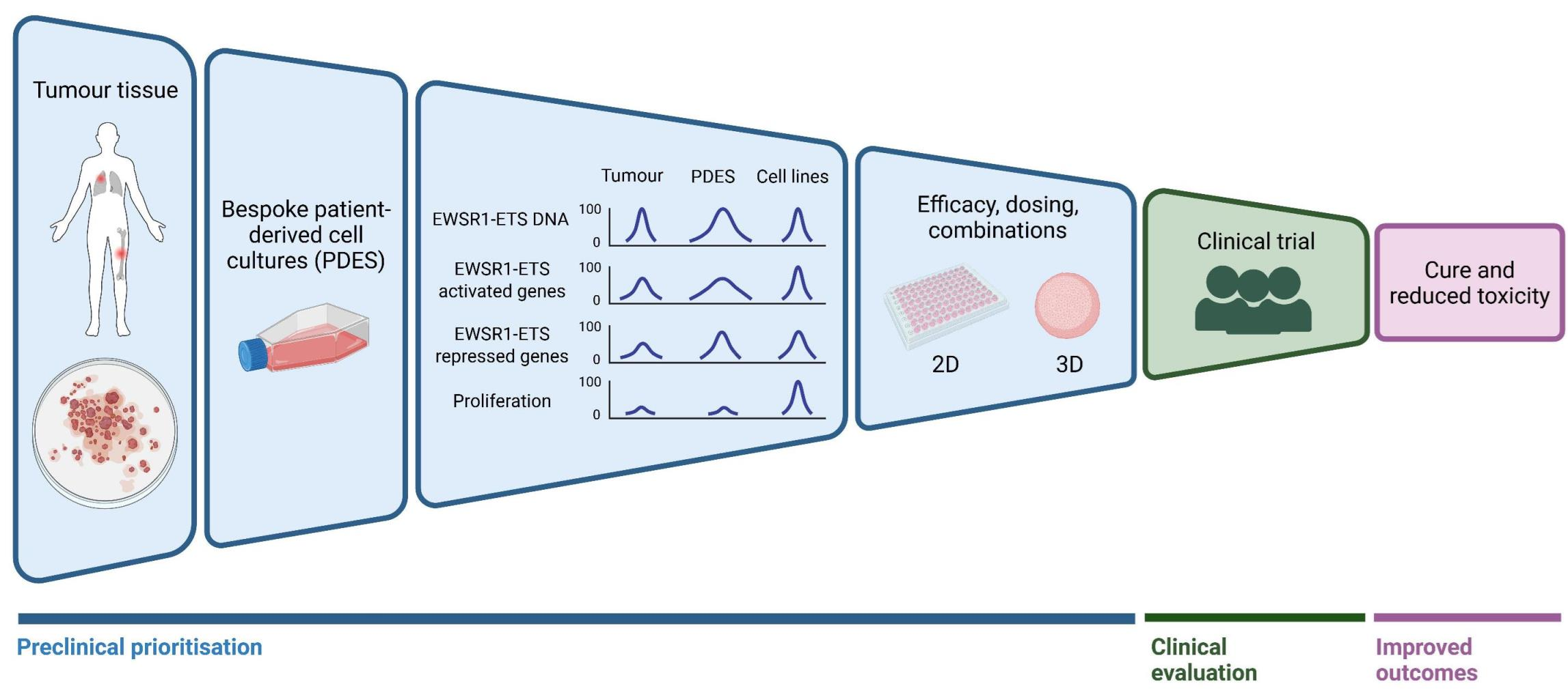 Characterisation of Bespoke Patient-Derived In Vitro Models of Ewing ...