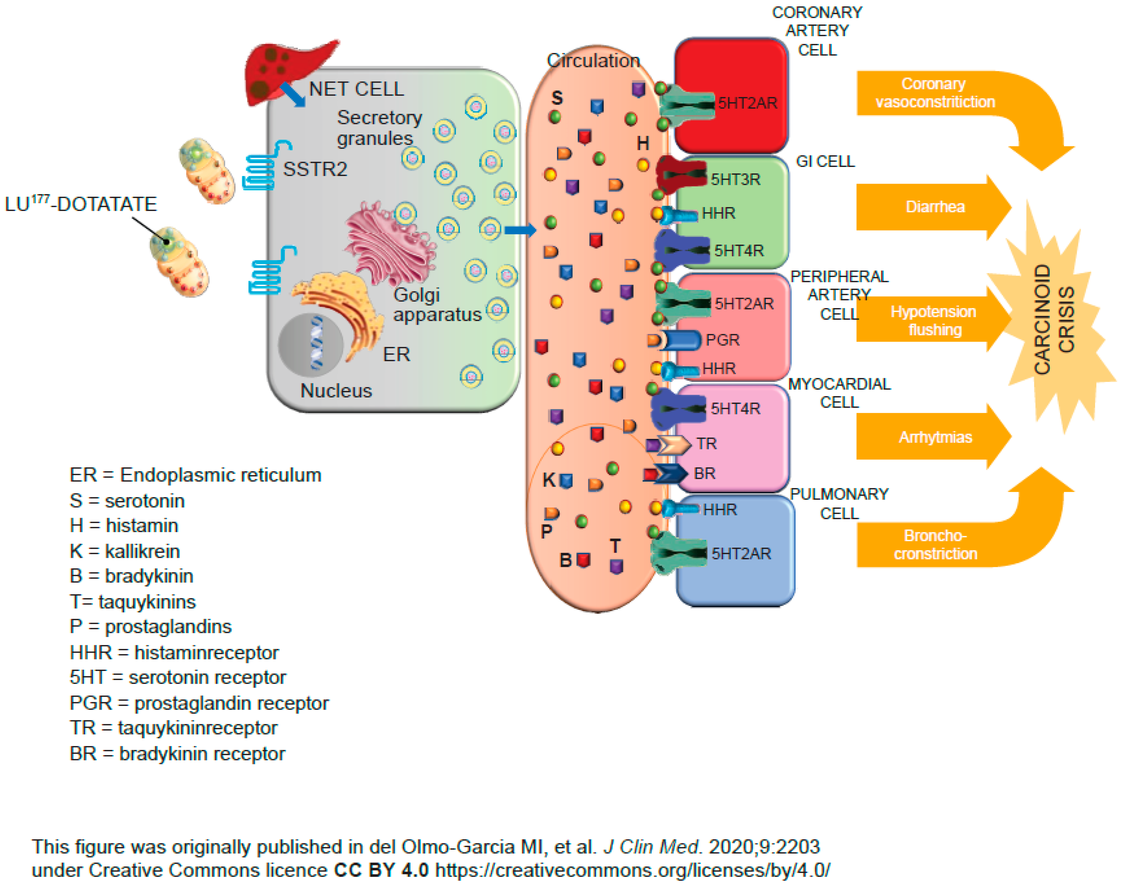 Occurrence and Management of Acute, Subacute, and Delayed Toxicities in ...