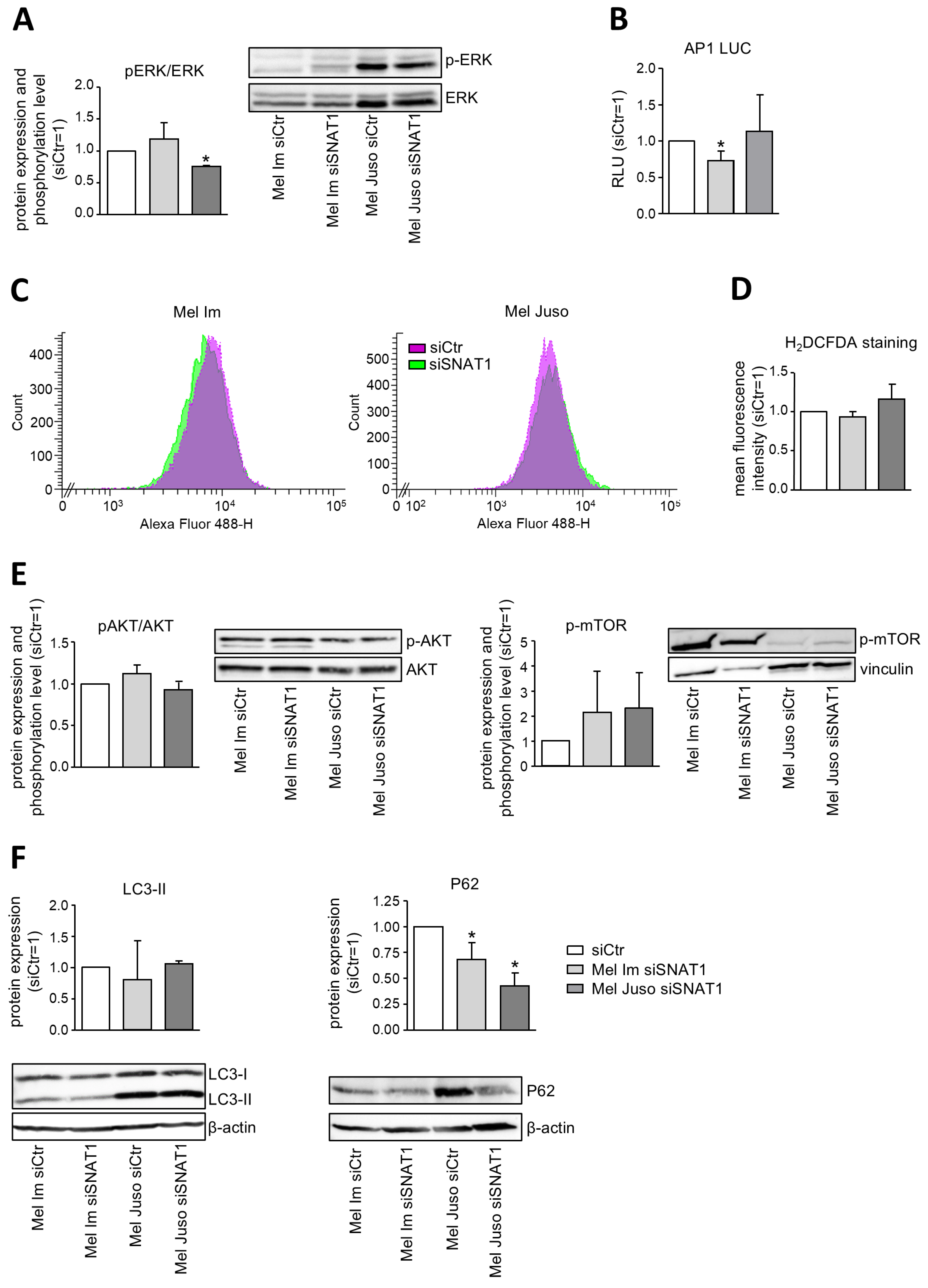 SNAT1 (SLC38A1) Is Not the Main Glutamine Transporter in Melanoma, but ...