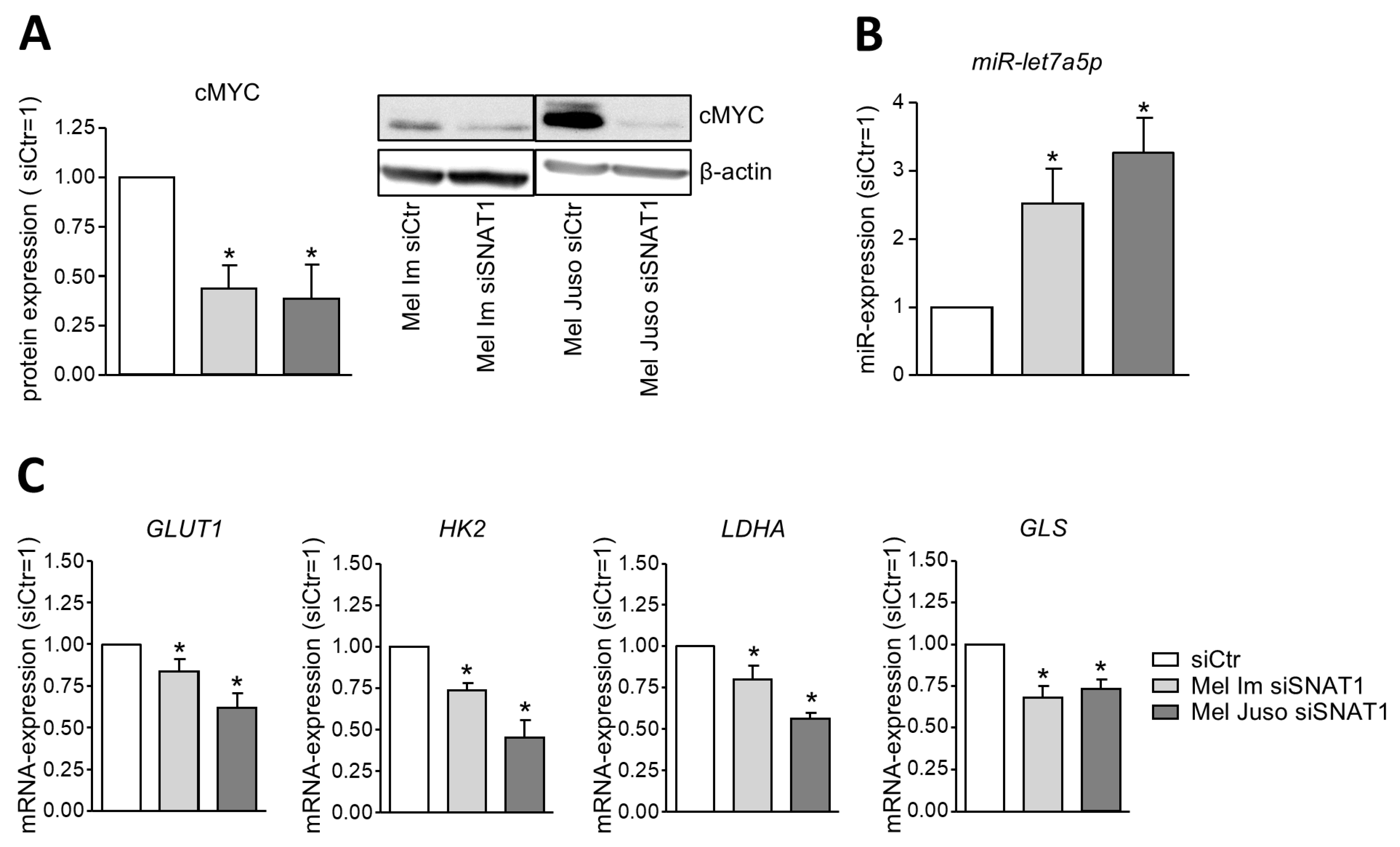 SNAT1 (SLC38A1) Is Not the Main Glutamine Transporter in Melanoma, but ...
