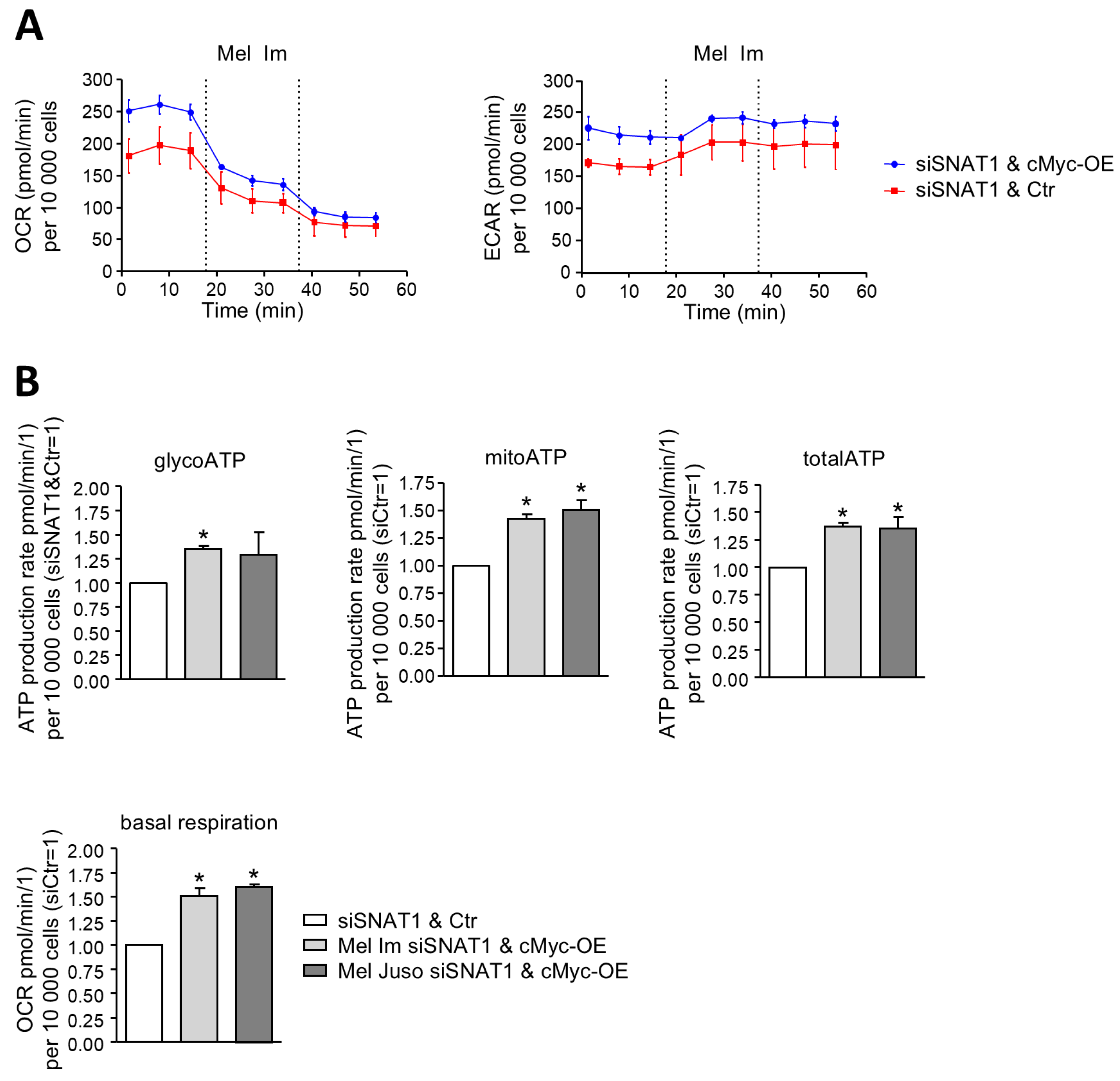 SNAT1 (SLC38A1) Is Not the Main Glutamine Transporter in Melanoma, but ...
