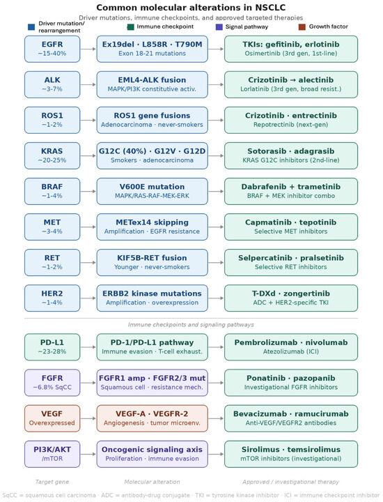 Molecular Analysis of EBUS-TBNA Samples for Nodal Staging in Non-Small ...