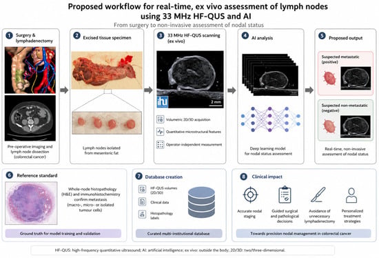 Reimagining Nodal Staging in Colorectal Cancer: Toward a Novel Non ...