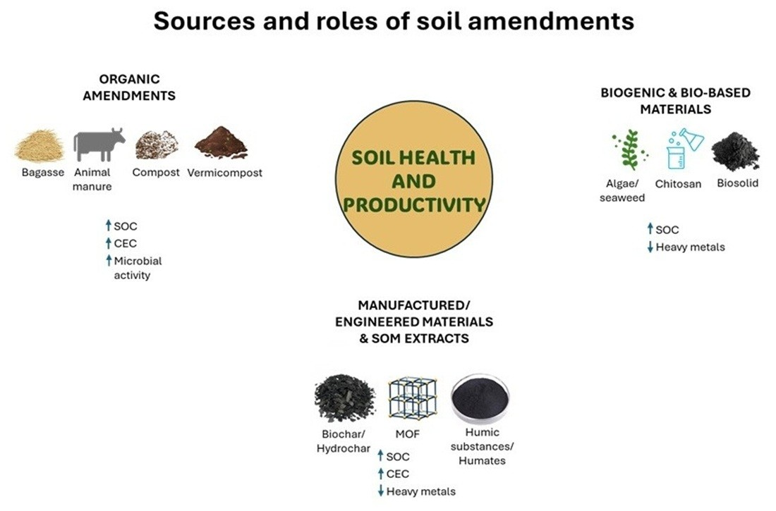 Organic Amendments for Sustainable Agriculture: Effects on Soil ...