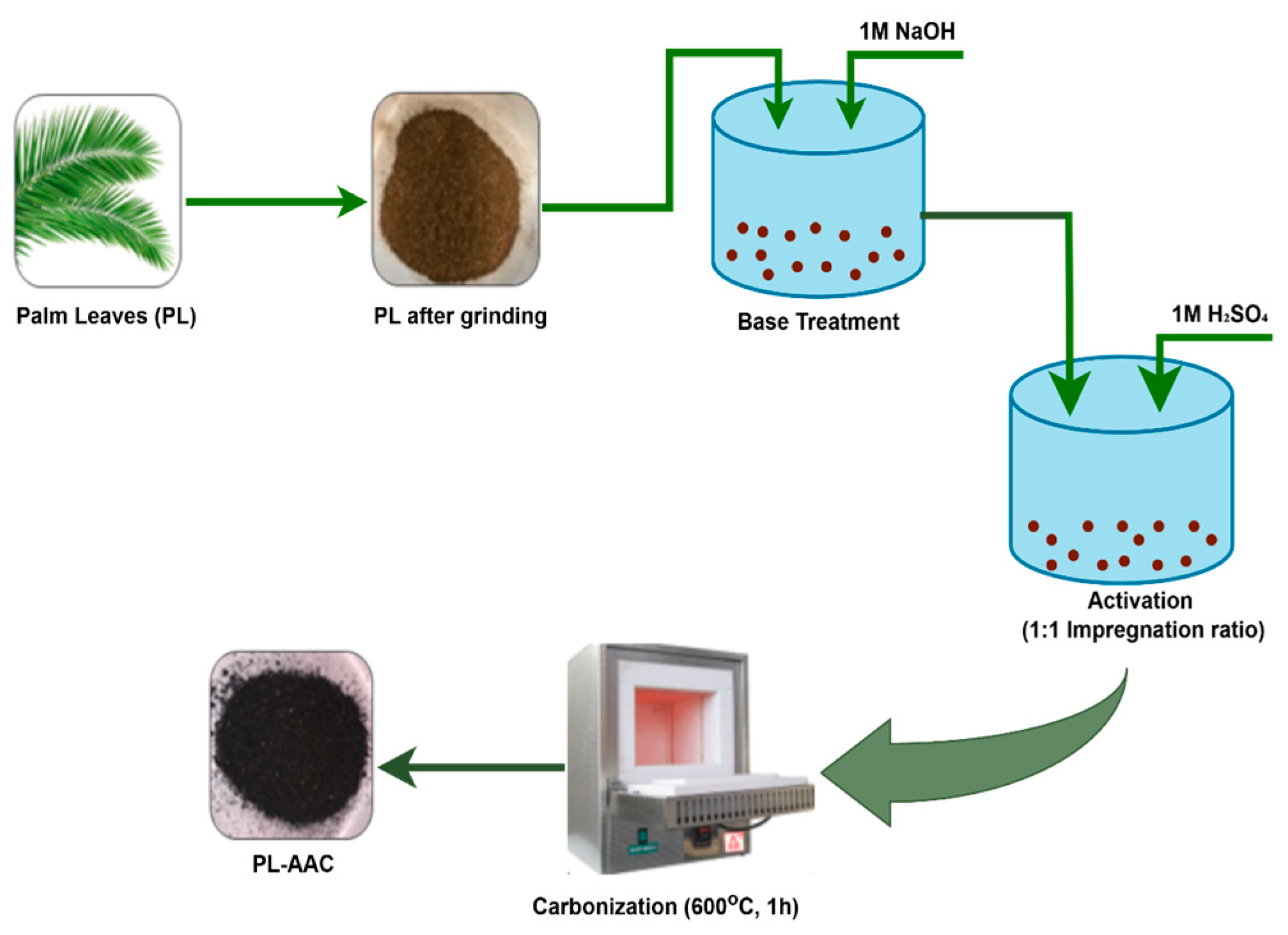 Palm Leaf-Derived Activated Carbon as a Dual Adsorbent–Catalyst for ...