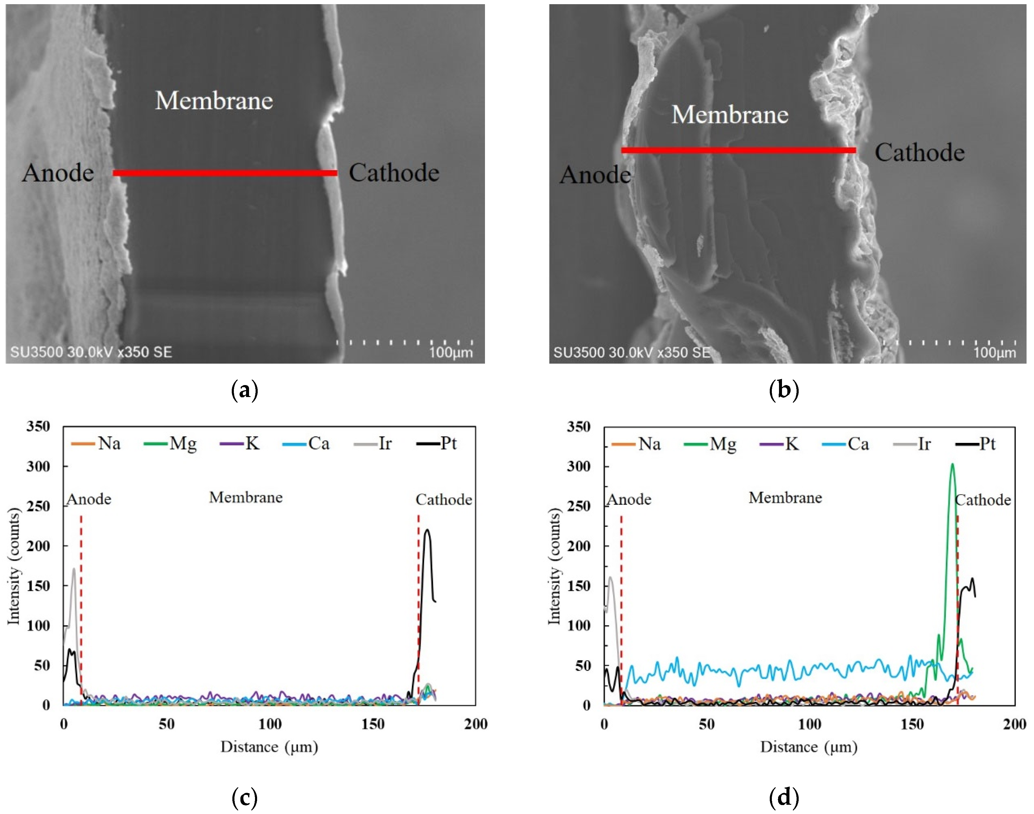 Catalysts Free Full Text Effects Of Artificial River Water On PEM Catalysts Free Full Text Effects Of Artificial River Water On PEM