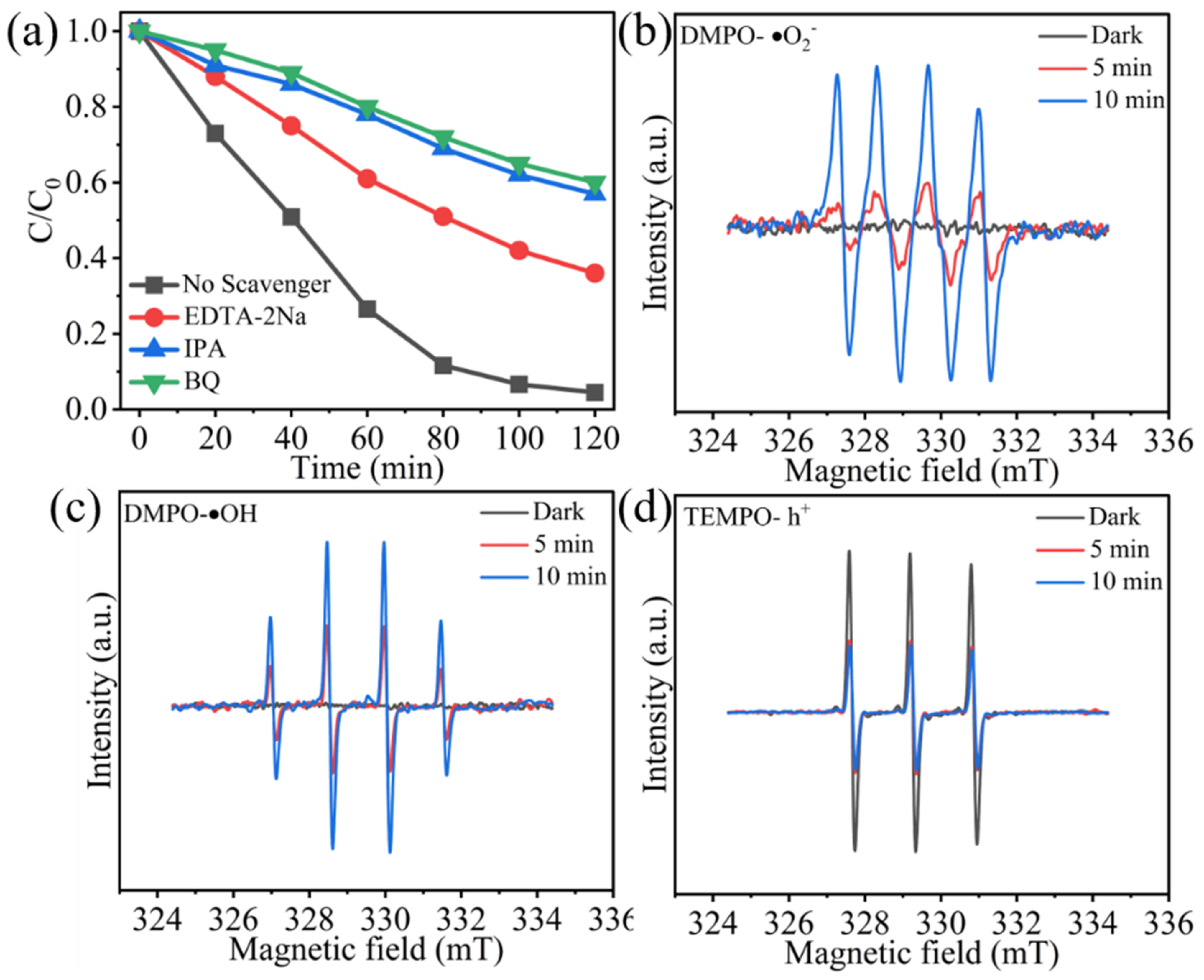 Direct Z-Scheme Heterojunction α-MnO2/BiOI with Oxygen-Rich Vacancies ...