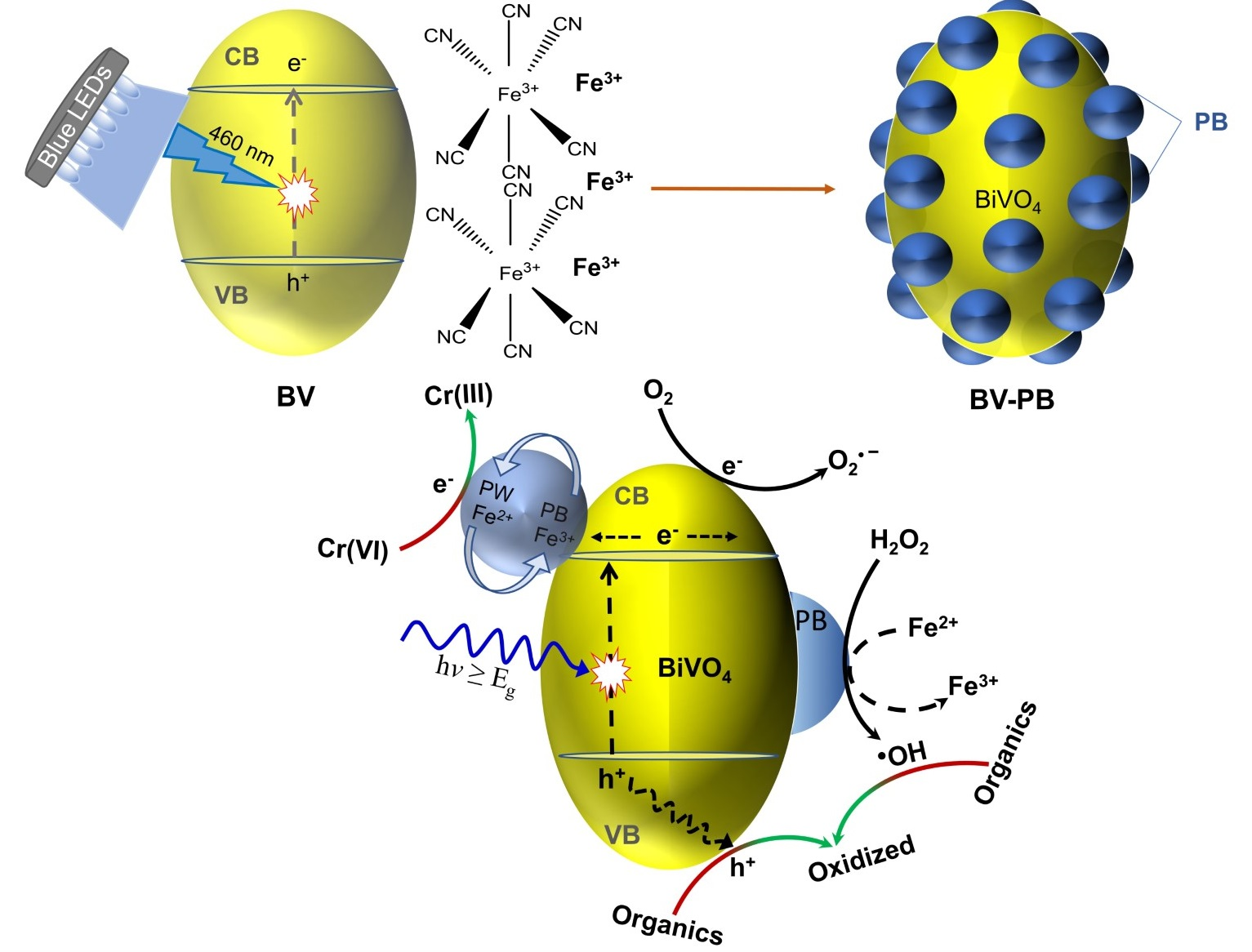 Catalysts Free Full Text Enhanced Photoredox Activity Of BiVO4 Catalysts Free Full Text Enhanced Photoredox Activity Of BiVO4