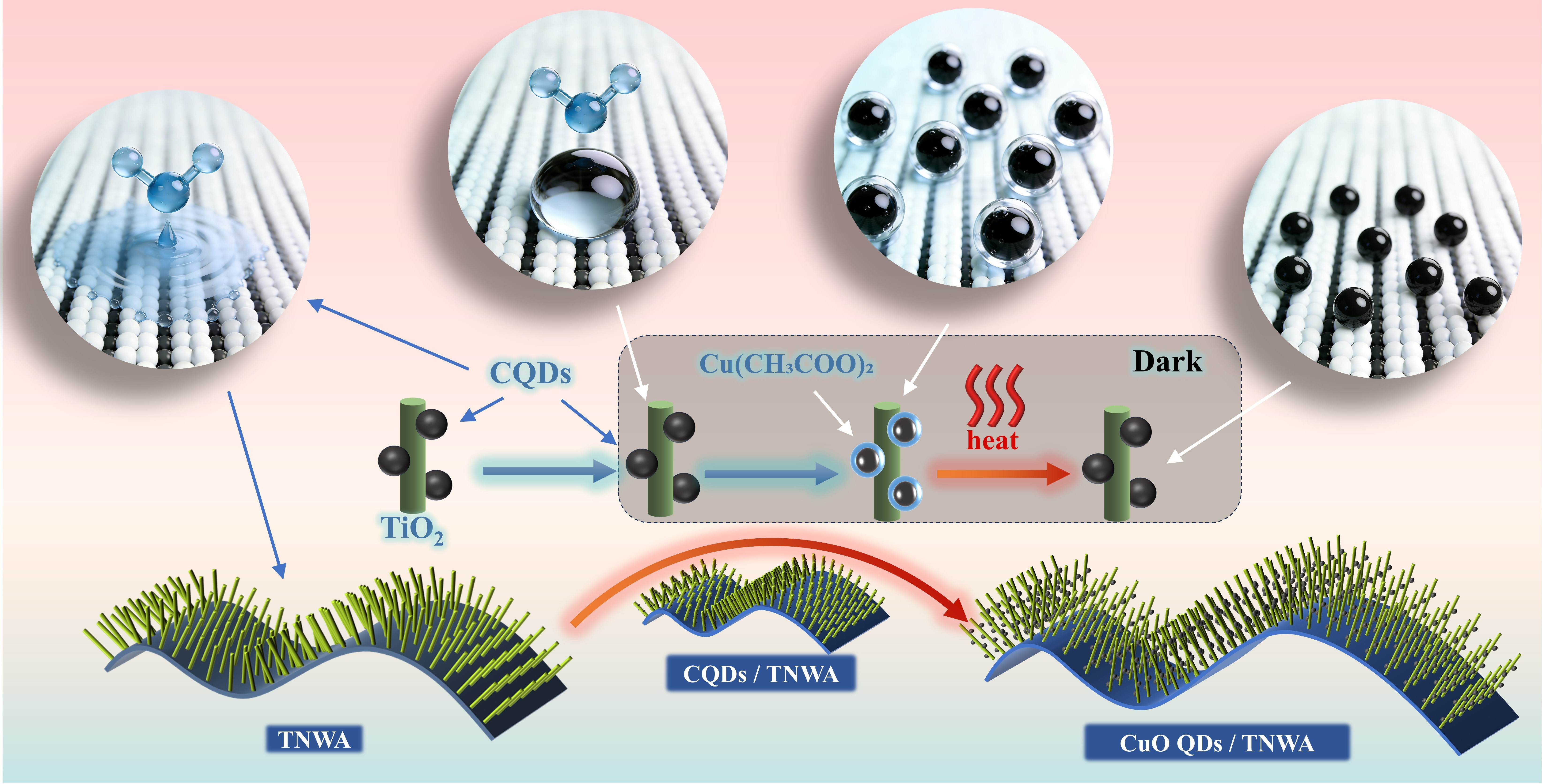 In Situ Anchoring of CQDs-Induced CuO Quantum Dots on Ultrafine TiO2 ...