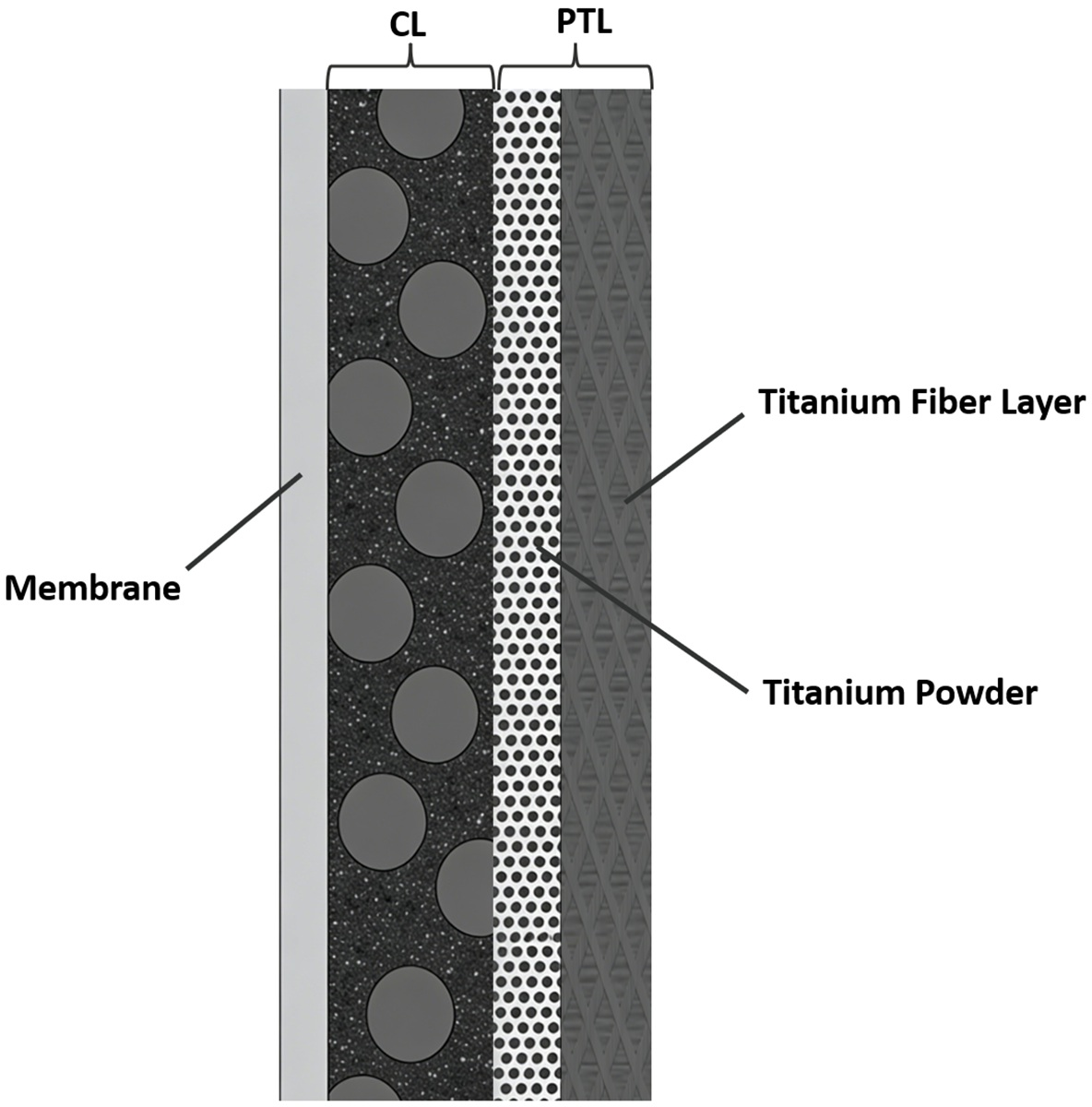 Improvements of Both Anode Catalyst Layer and Porous Transport Layer ...