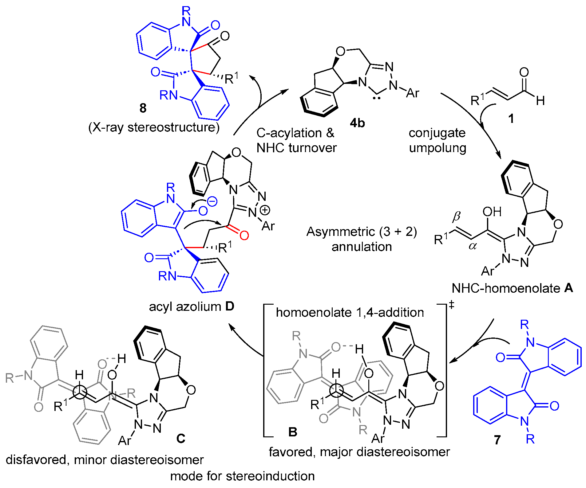 N-Heterocyclic Carbene-Catalyzed Generation of Homoenolates: Efficient ...