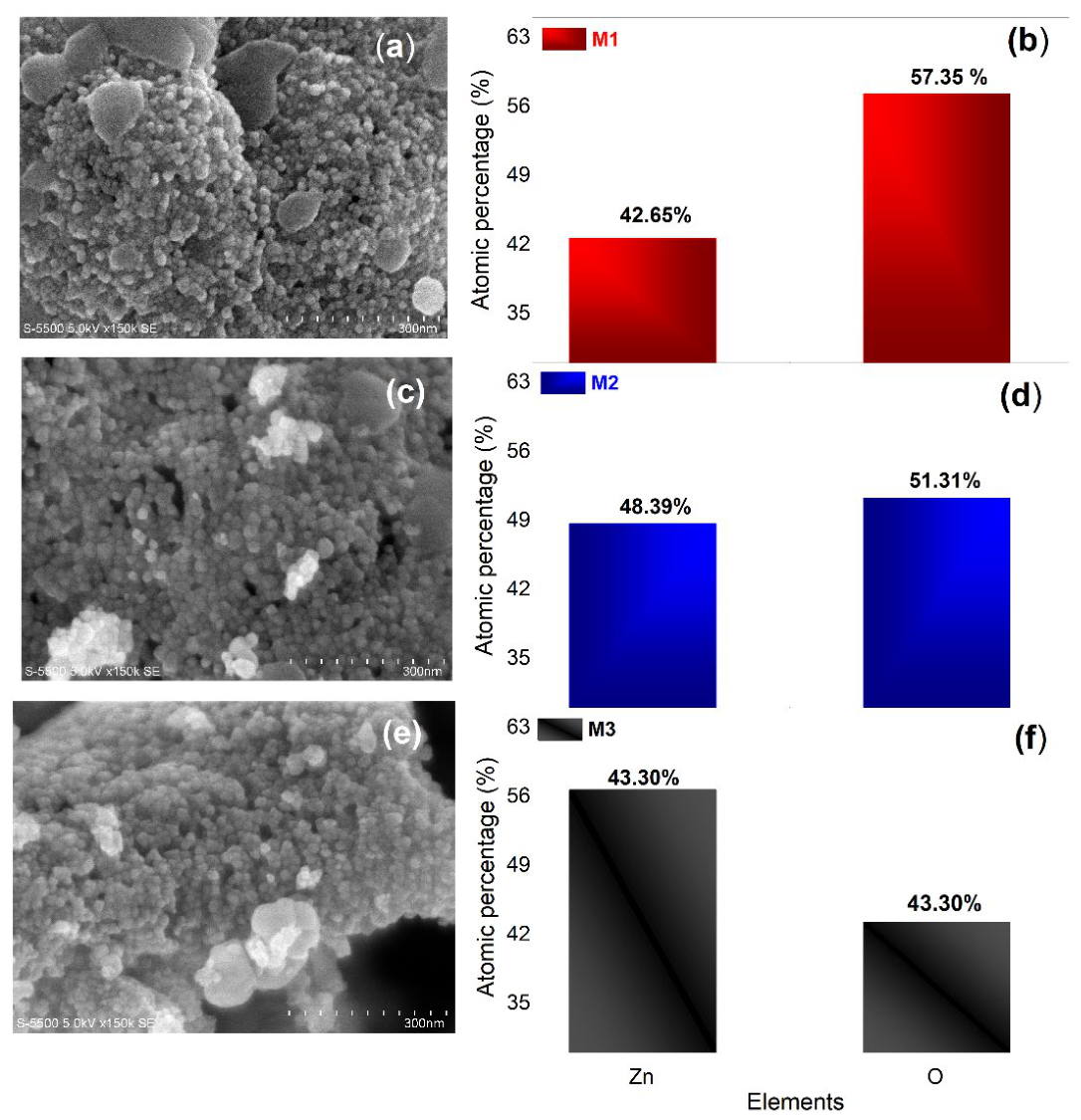 Plasma Exposure Time of Biogenic ZnO: A Critical Control Variable in ...