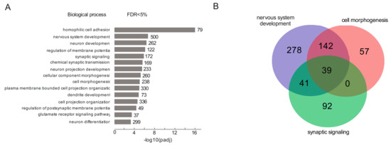 rDNA Clusters Make Contact with Genes that Are Involved in ...