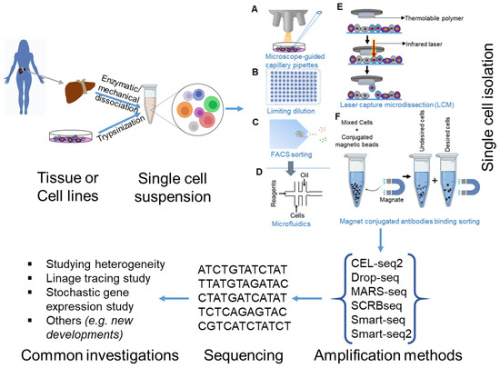Biological and Medical Importance of Cellular Heterogeneity Deciphered ...