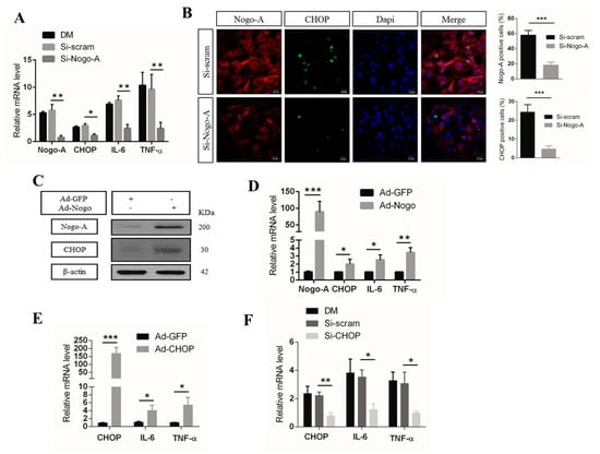 Nogo-A Is Critical for Pro-Inflammatory Gene Regulation in Myocytes and ...