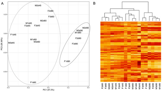 Sexually Dimorphic Transcriptomic Changes of Developing Fetal Brain ...