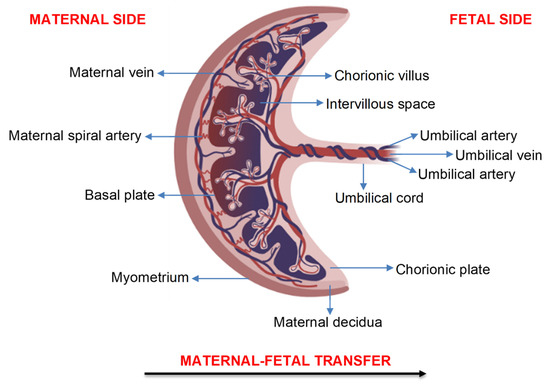 Prenatal Air Pollution Exposure and Placental DNA Methylation Changes ...