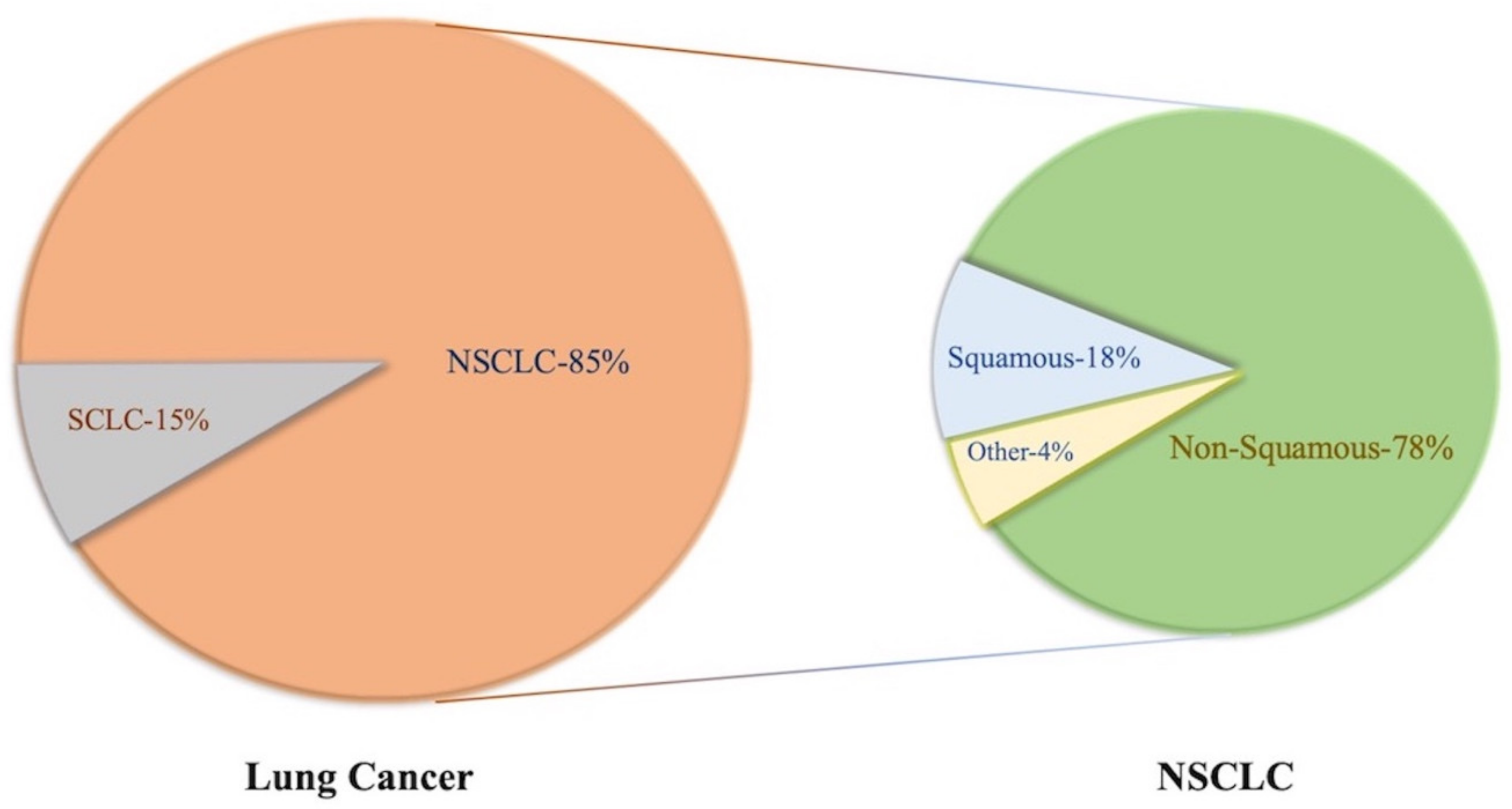 Cells Free Full Text Immune Checkpoint Inhibitors In Non Small Cell Cells Free Full Text Immune Checkpoint Inhibitors In Non Small Cell