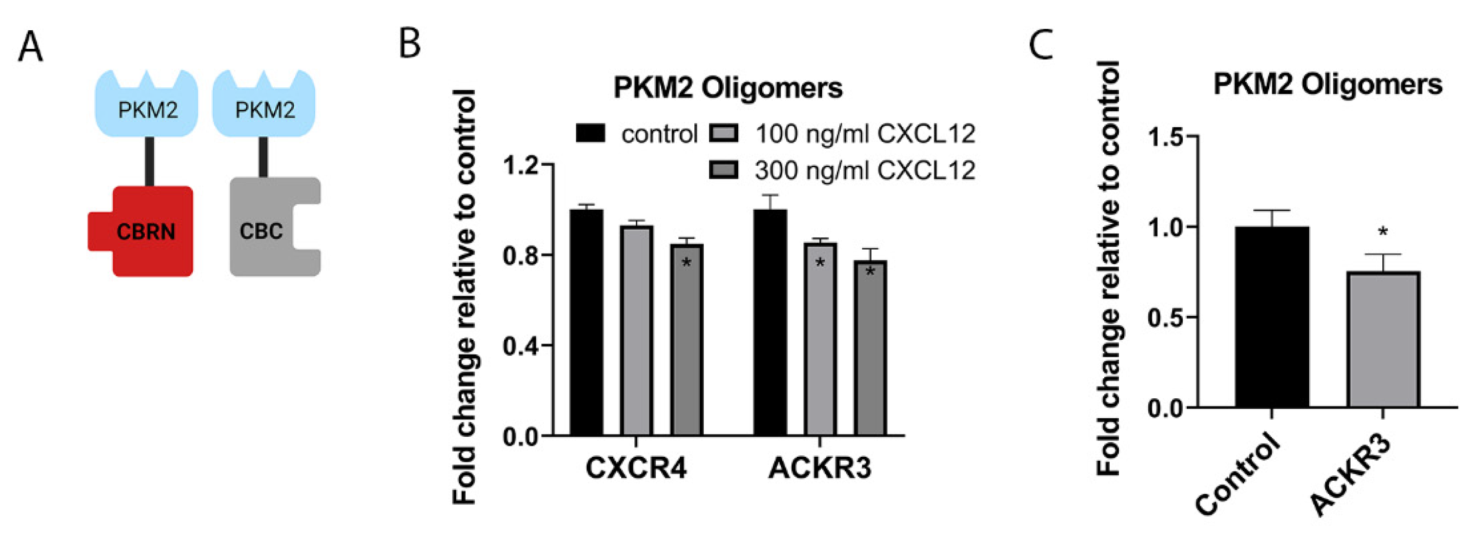 The CXCL12/CXCR4/ACKR3 Signaling Axis Regulates PKM2 and Glycolysis