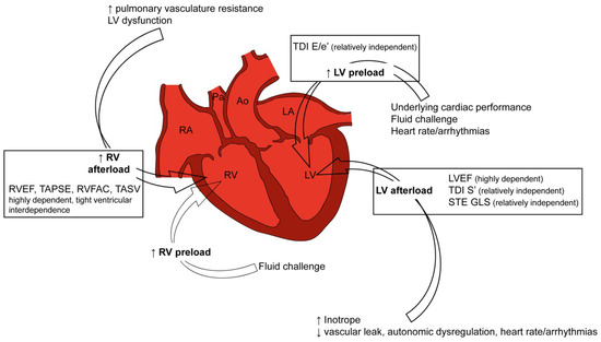 Septic Cardiomyopathy: From Pathophysiology to the Clinical Setting