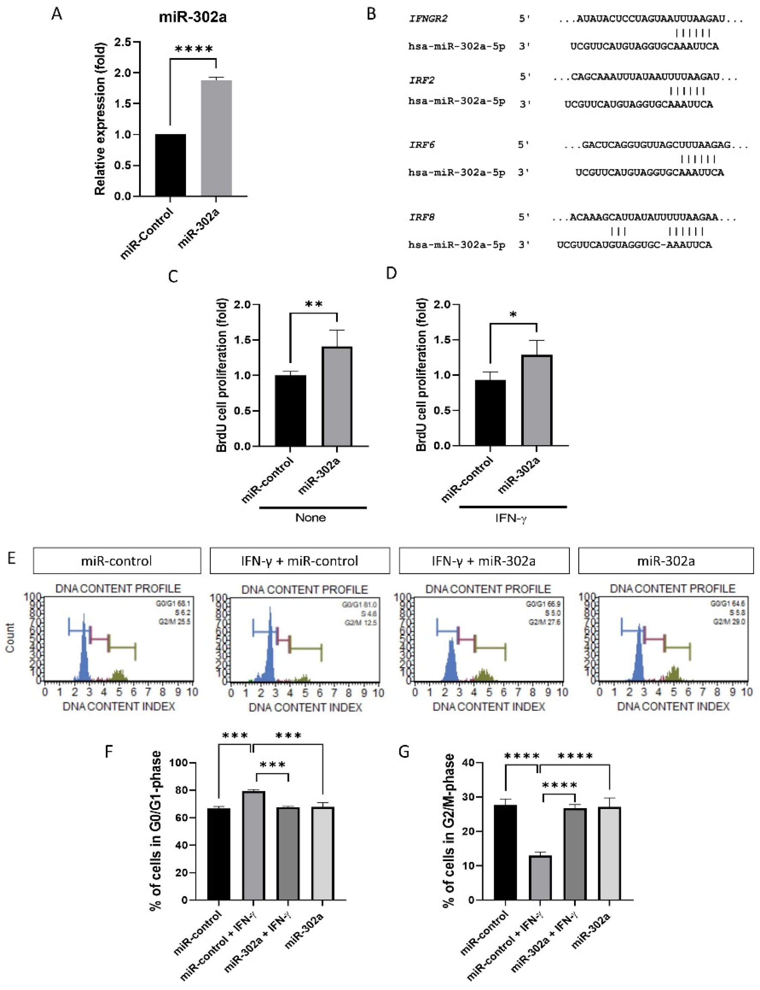 Cells Free Full Text MiR 302a Regenerates Human Corneal Endothelial Cells Free Full Text MiR 302a Regenerates Human Corneal Endothelial