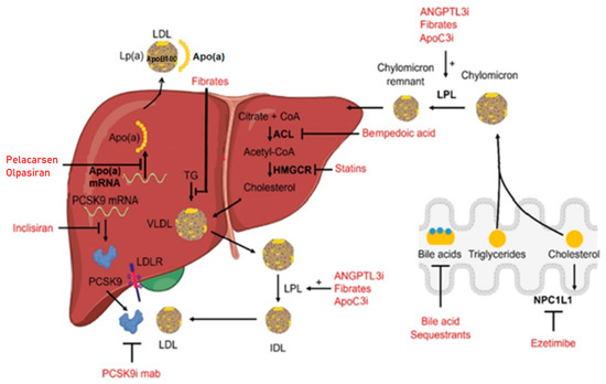 Development of New Genome Editing Tools for the Treatment of Hyperlipidemia