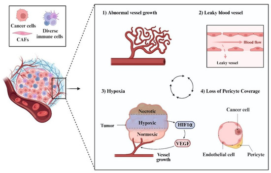 PAK in Pancreatic Cancer-Associated Vasculature: Implications for ...