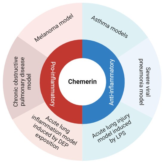 The Dual Role of Chemerin in Lung Diseases