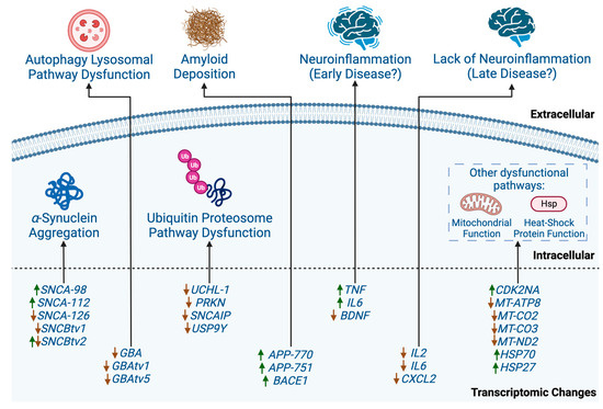Dementia with Lewy Bodies: Genomics, Transcriptomics, and Its Future ...
