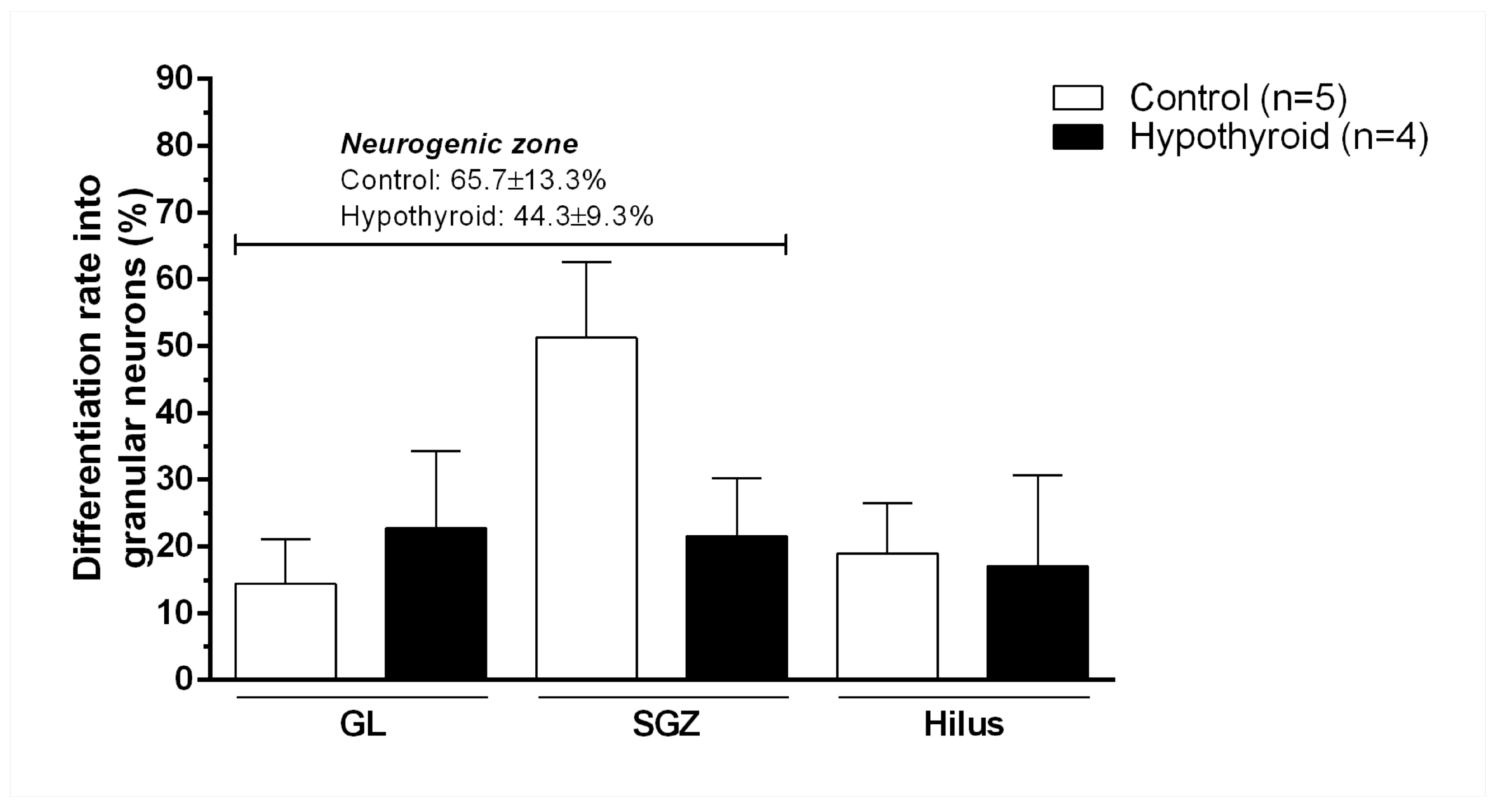 Mitotic Activity, Cell Survival, and Neuronal Differentiation in the ...