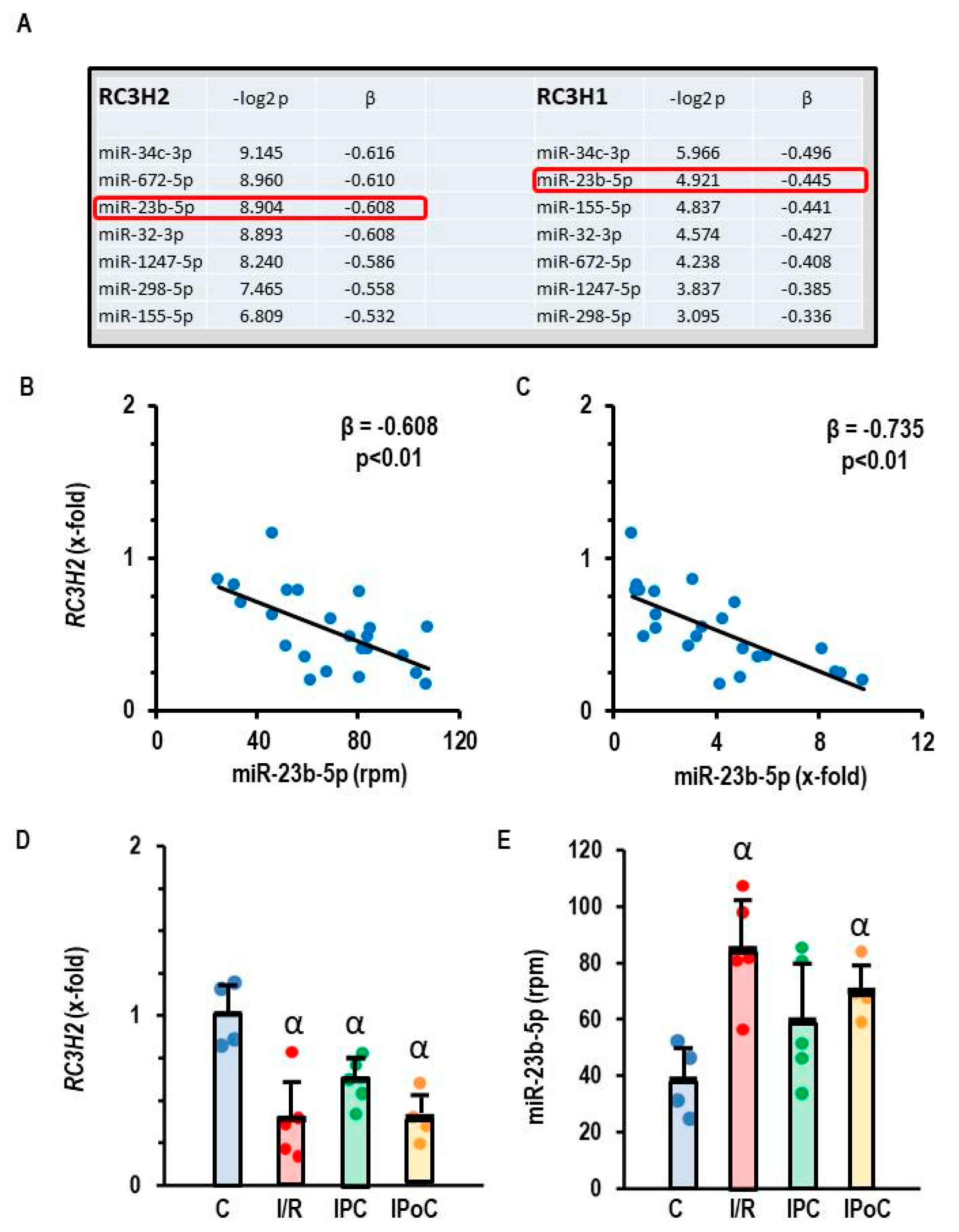Roquin Modulates Cardiac Post-Infarct Remodeling via microRNA Stability ...