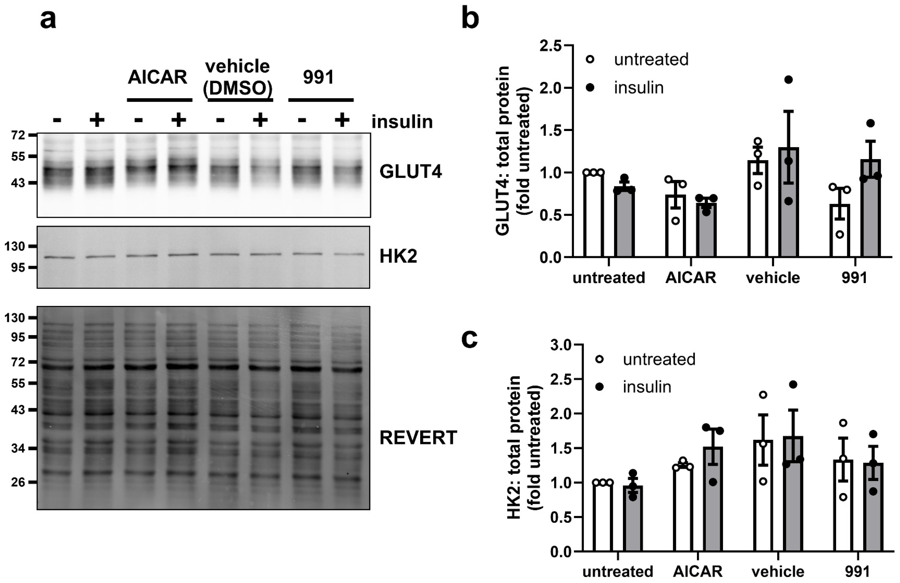 AICAR Inhibits Insulin-Stimulated Glucose Uptake in 3T3-L1 Adipocytes ...