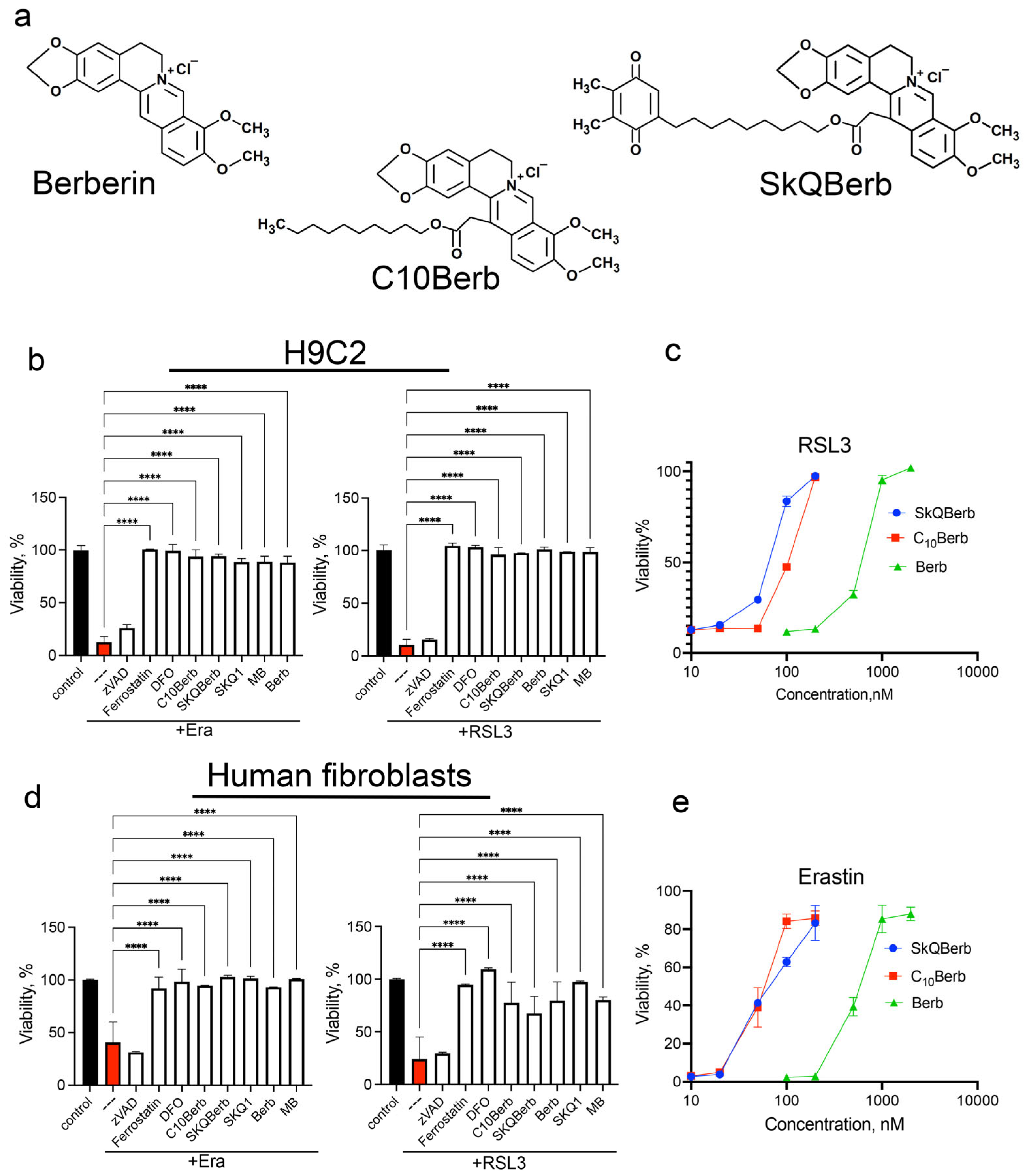 13-Decyl Berberine Derivative Is a Novel Mitochondria-Targeted ...