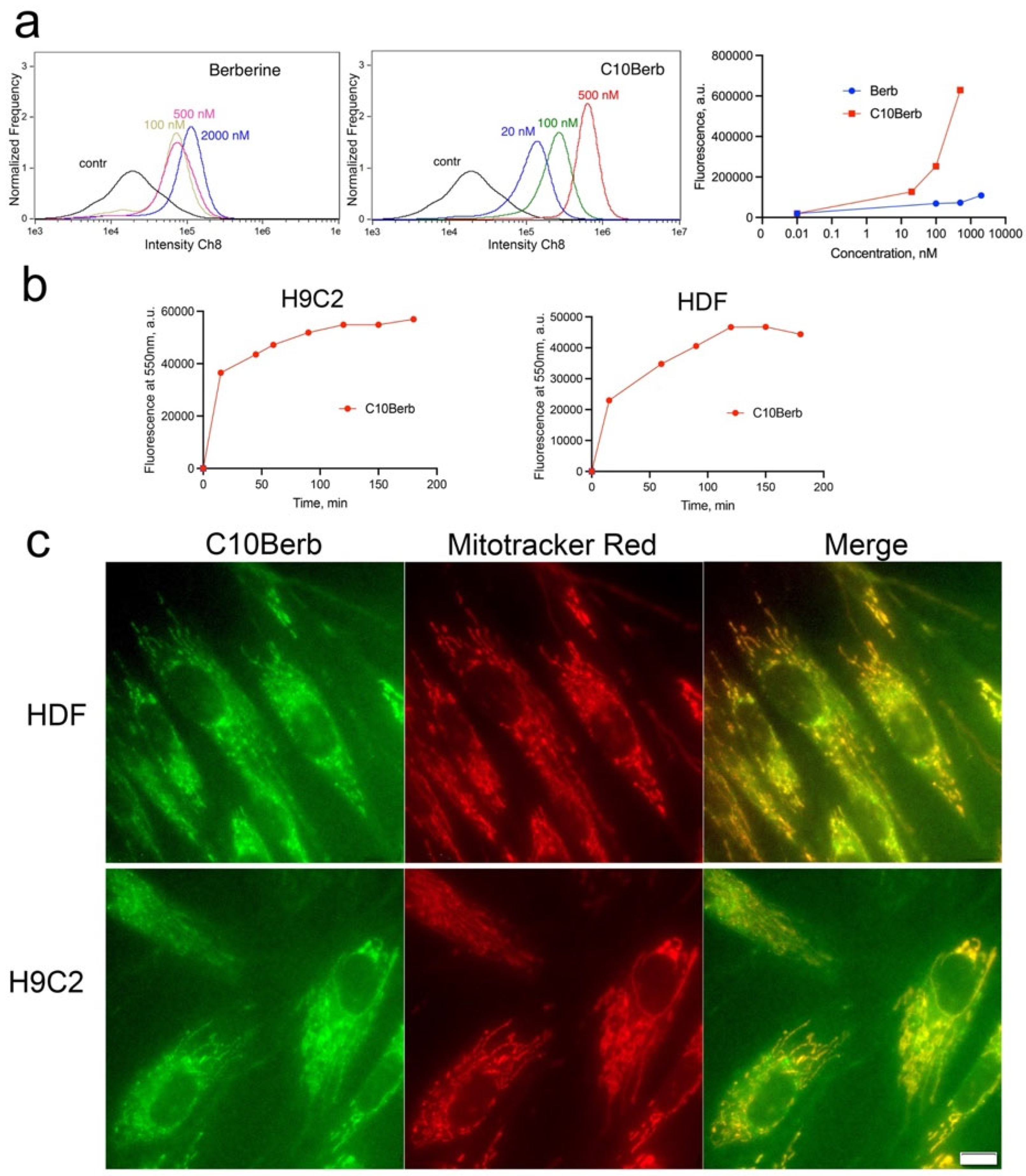 13-Decyl Berberine Derivative Is a Novel Mitochondria-Targeted ...