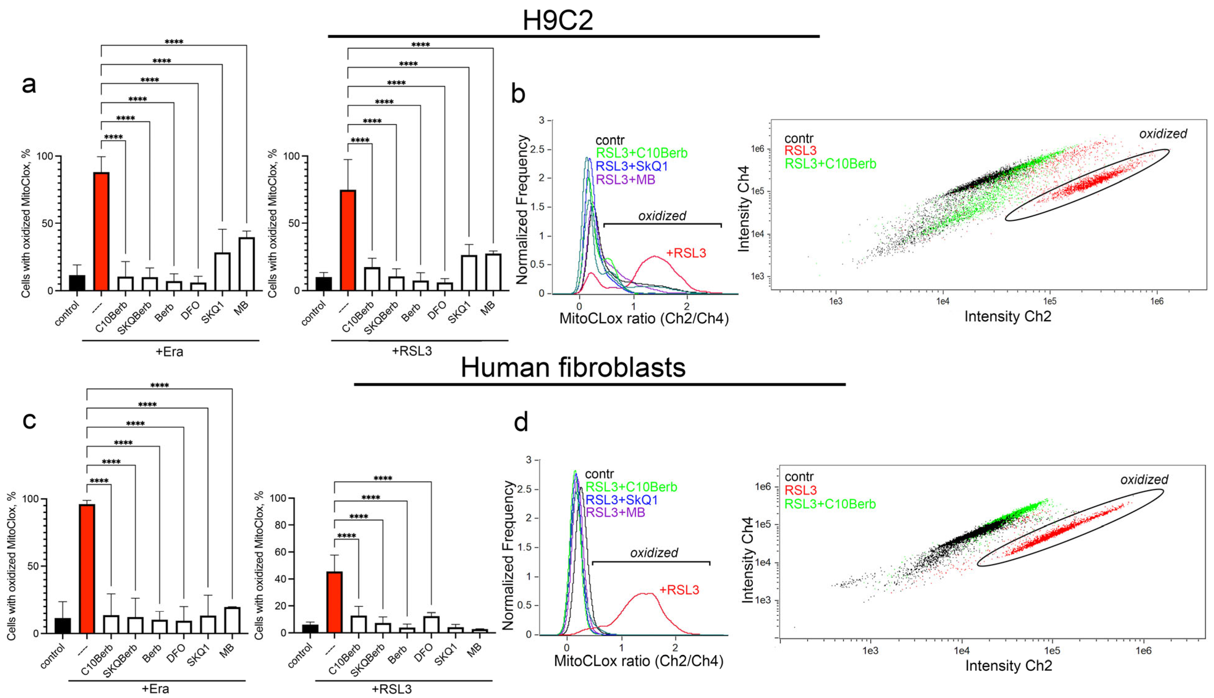 13-Decyl Berberine Derivative Is a Novel Mitochondria-Targeted ...