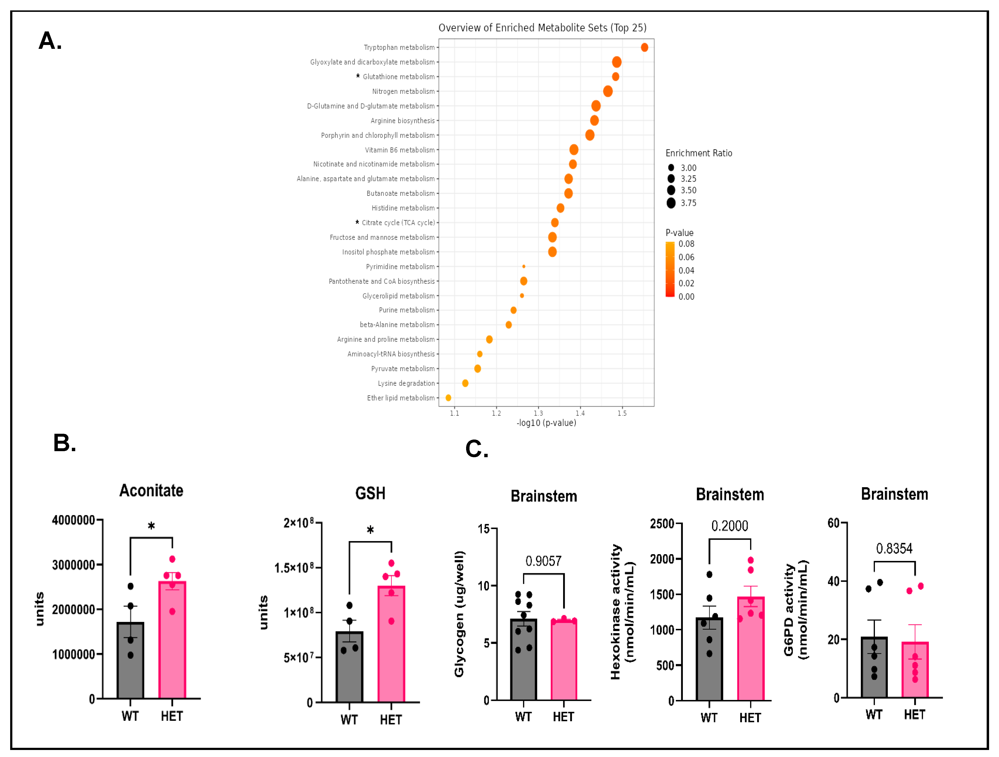 Multiomic Analyses Reveal Brainstem Metabolic Changes in a Mouse Model ...