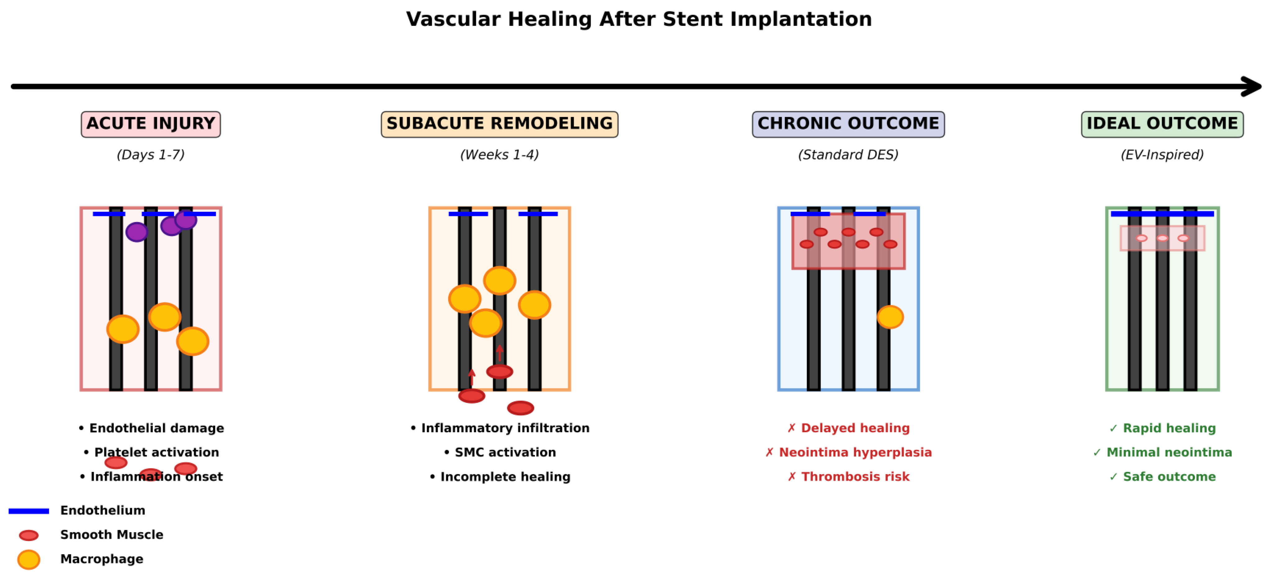 Extracellular Vesicles as Biological Templates for Next-Generation Drug ...