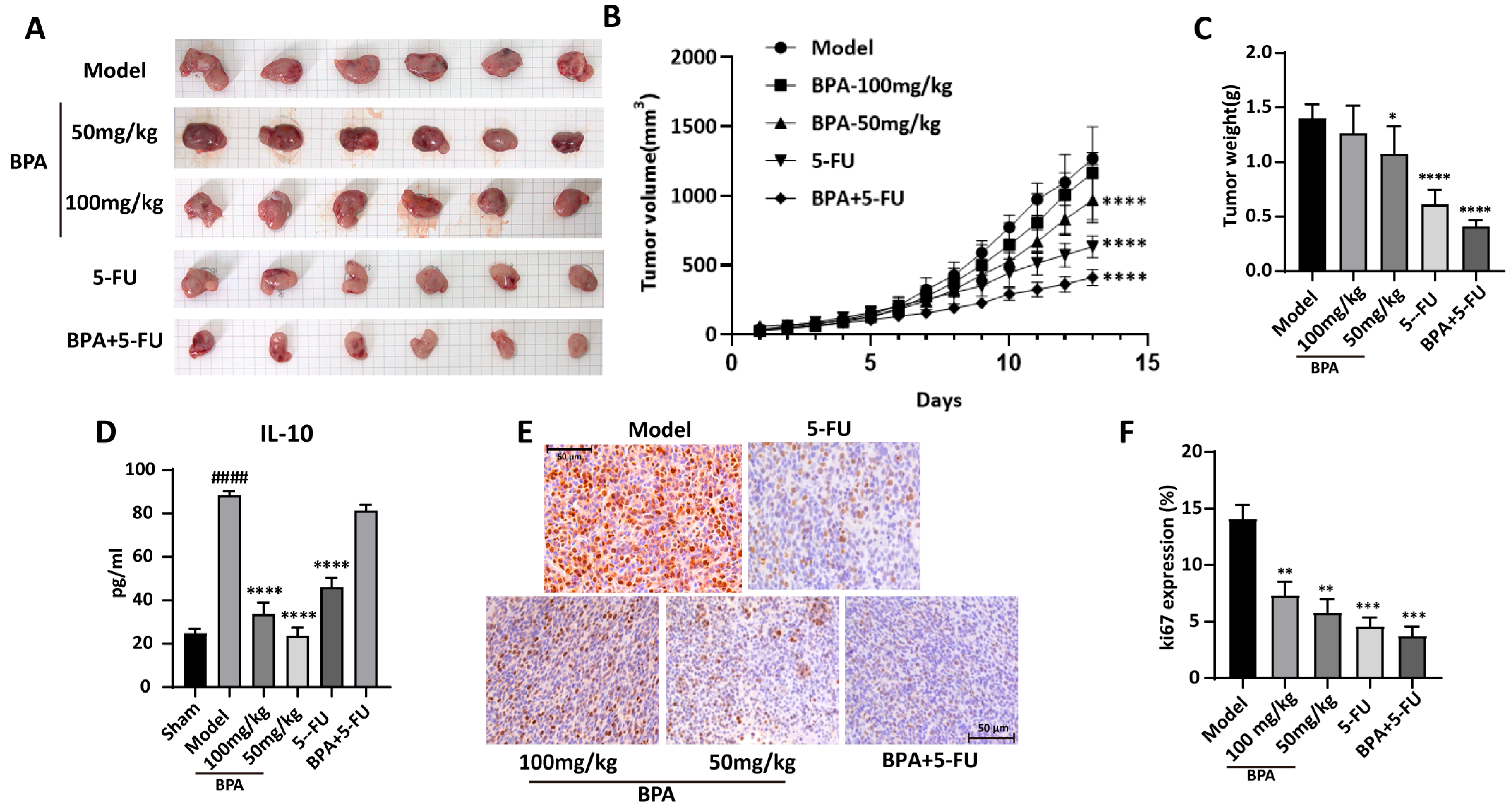 Cancer Immunomodulatory Effect of Bidens pilosa L. in Mice: Suppression ...