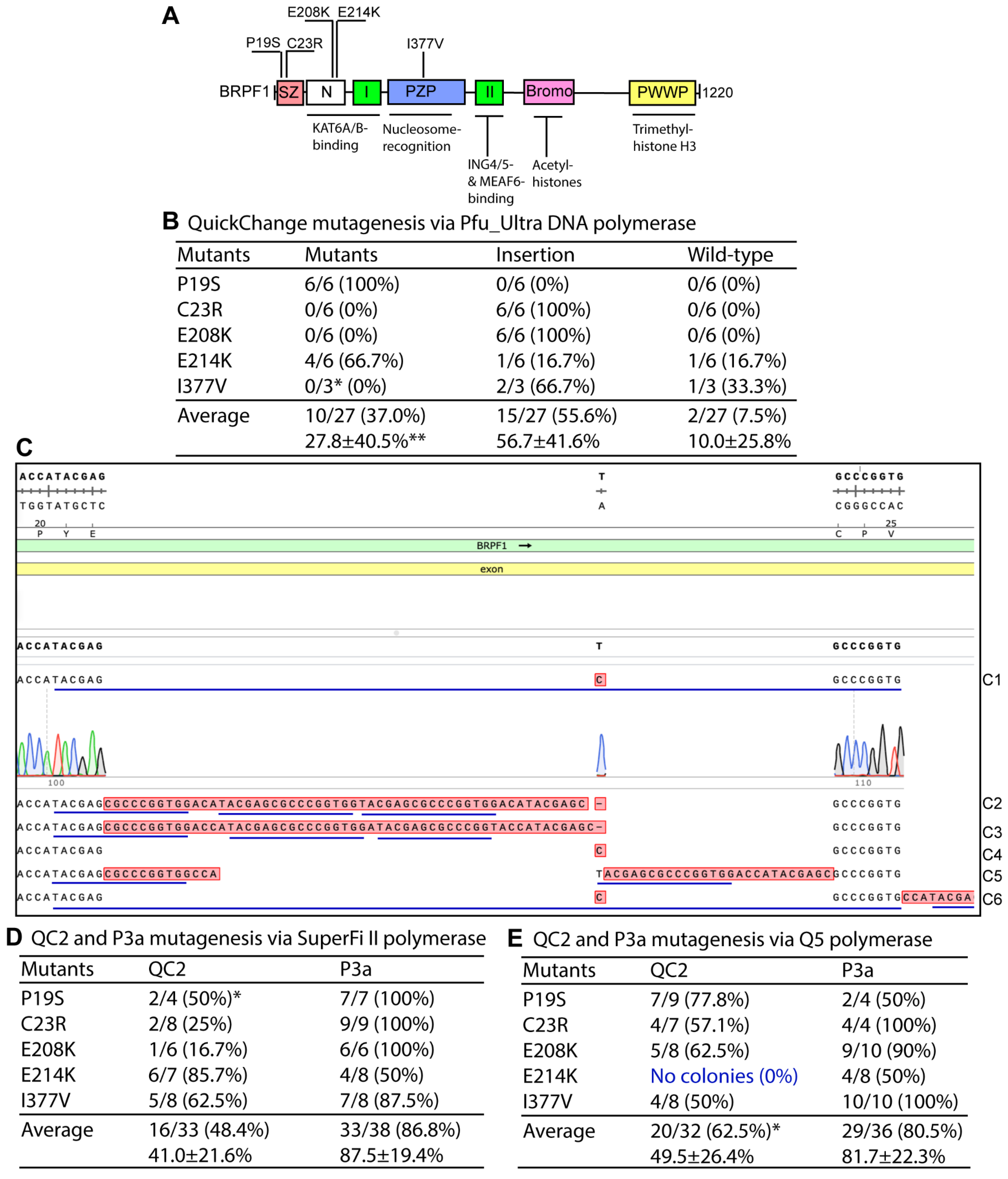 Efficiency and Fidelity of Site-Directed Mutagenesis with Complementary ...