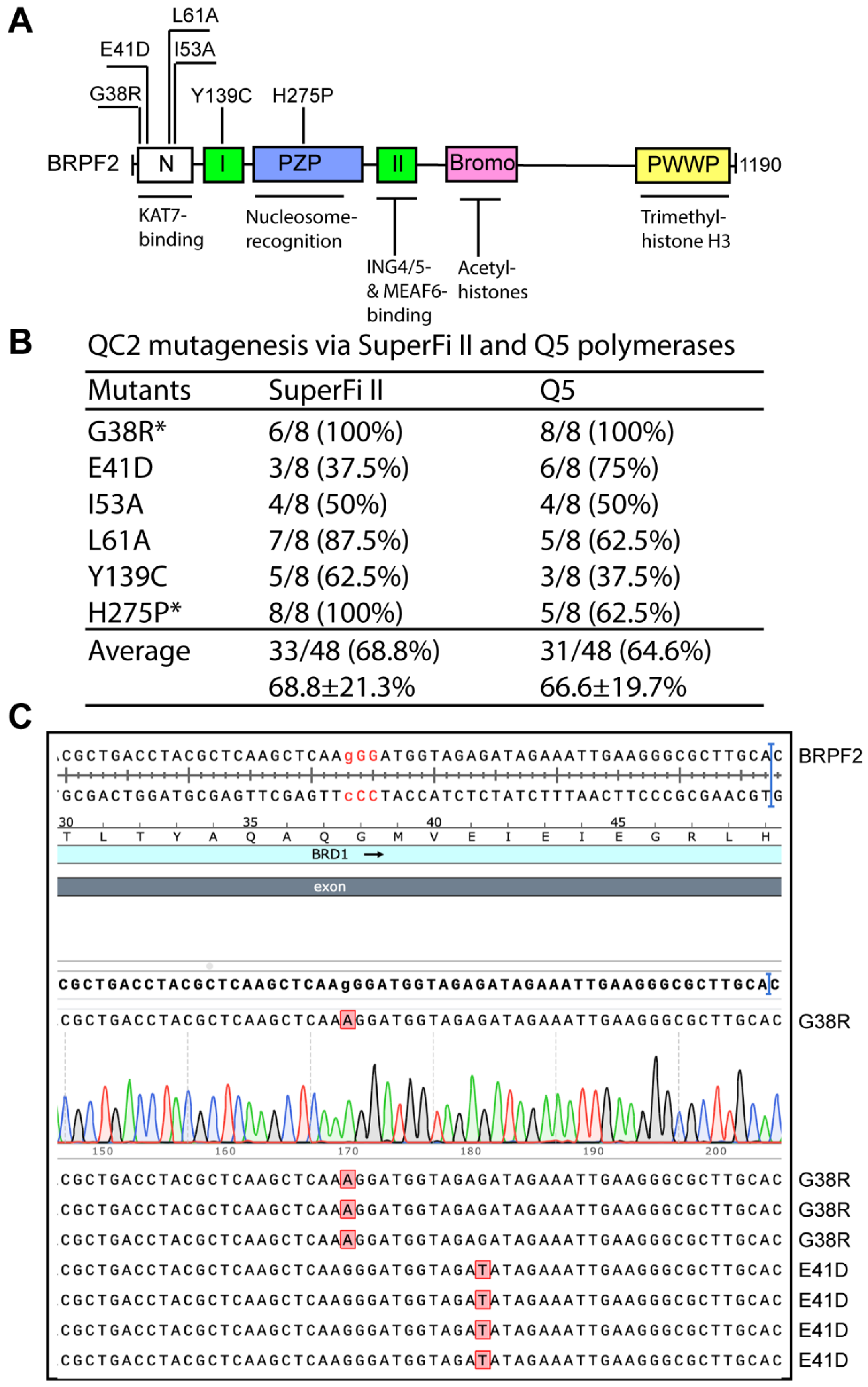 Efficiency and Fidelity of Site-Directed Mutagenesis with Complementary ...