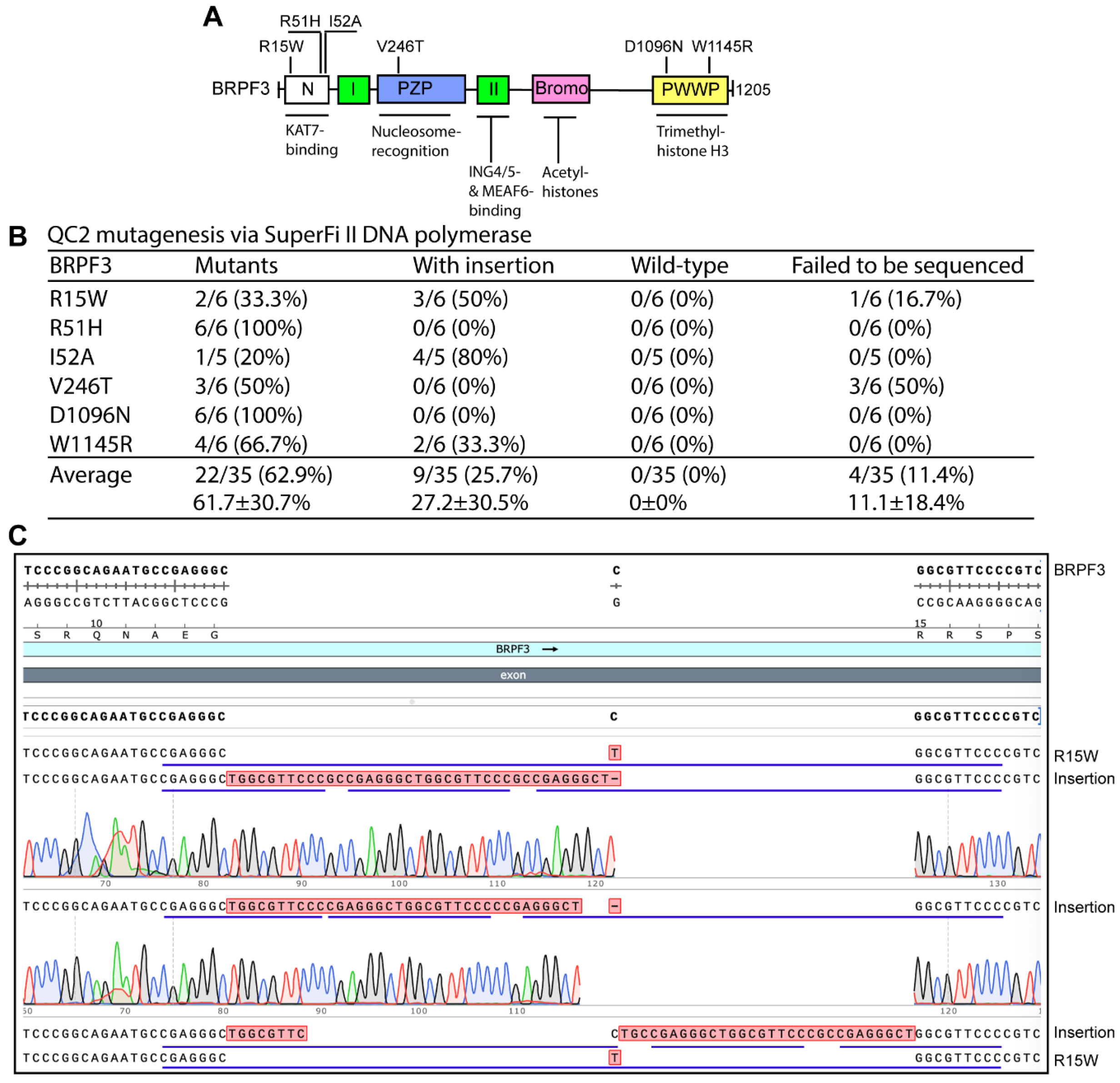 Efficiency and Fidelity of Site-Directed Mutagenesis with Complementary ...