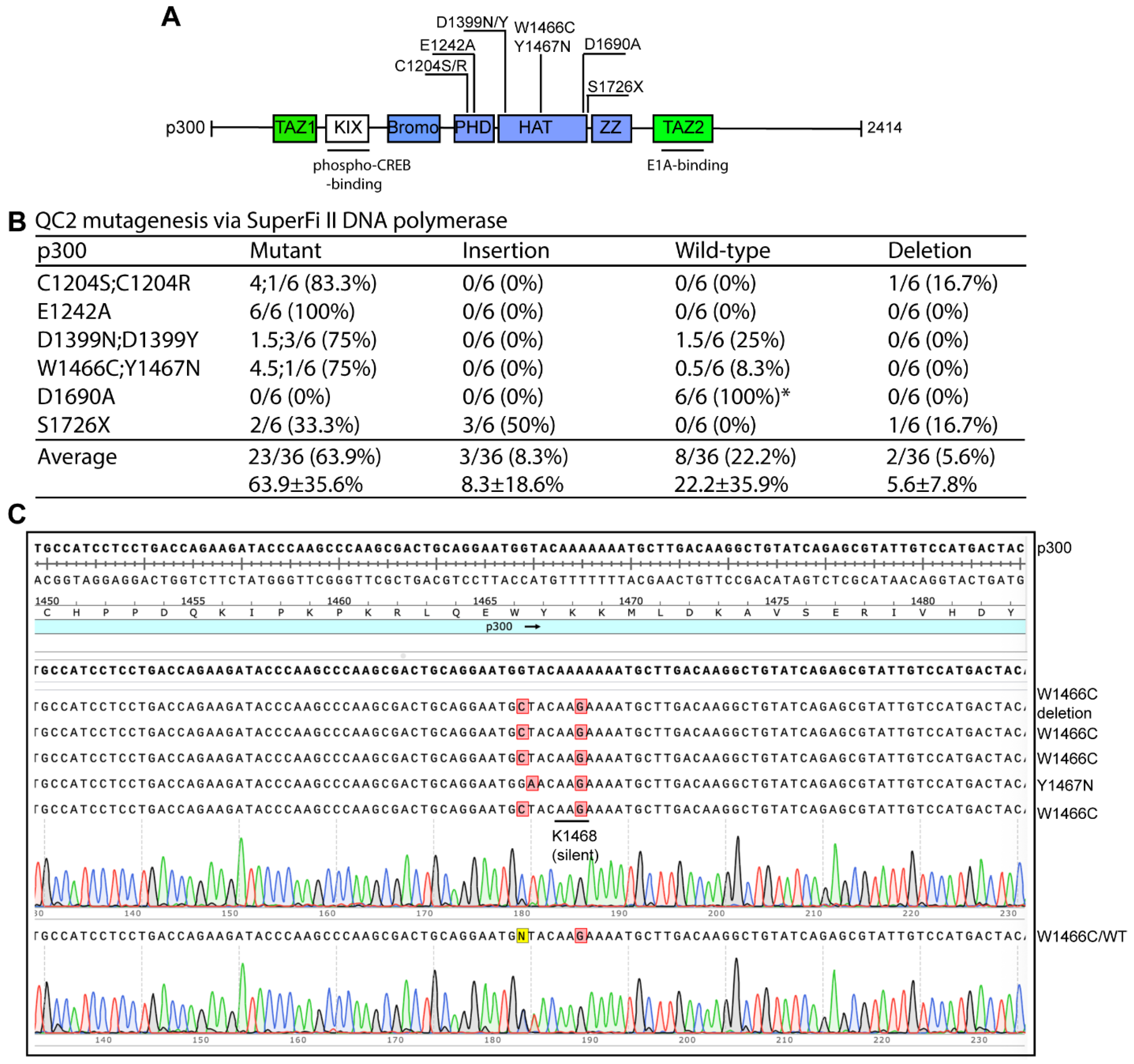 Efficiency and Fidelity of Site-Directed Mutagenesis with Complementary ...