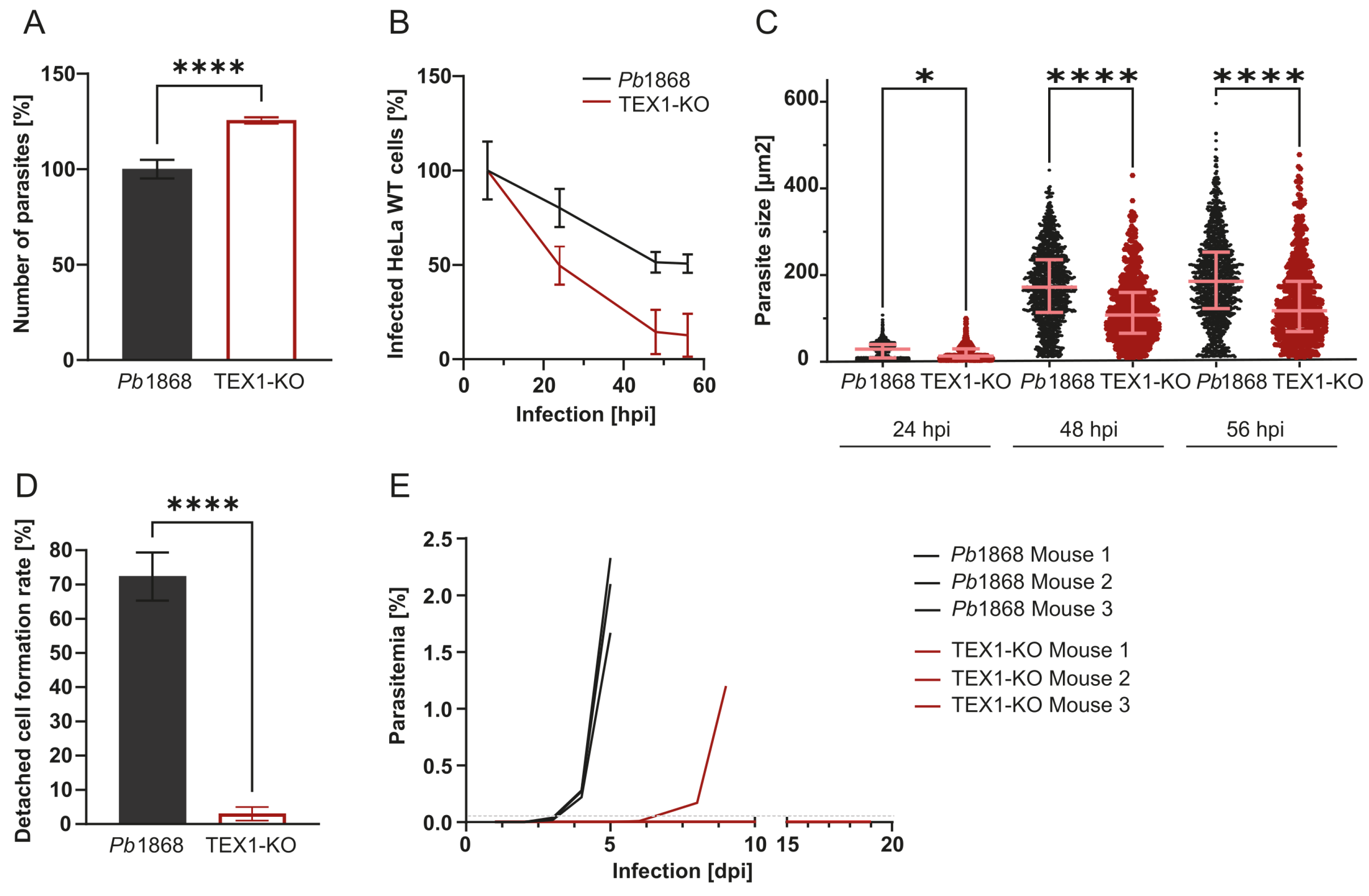 The Putative E3 Ubiquitin Ligase TEX1 Is Required for Nuclear Biology ...